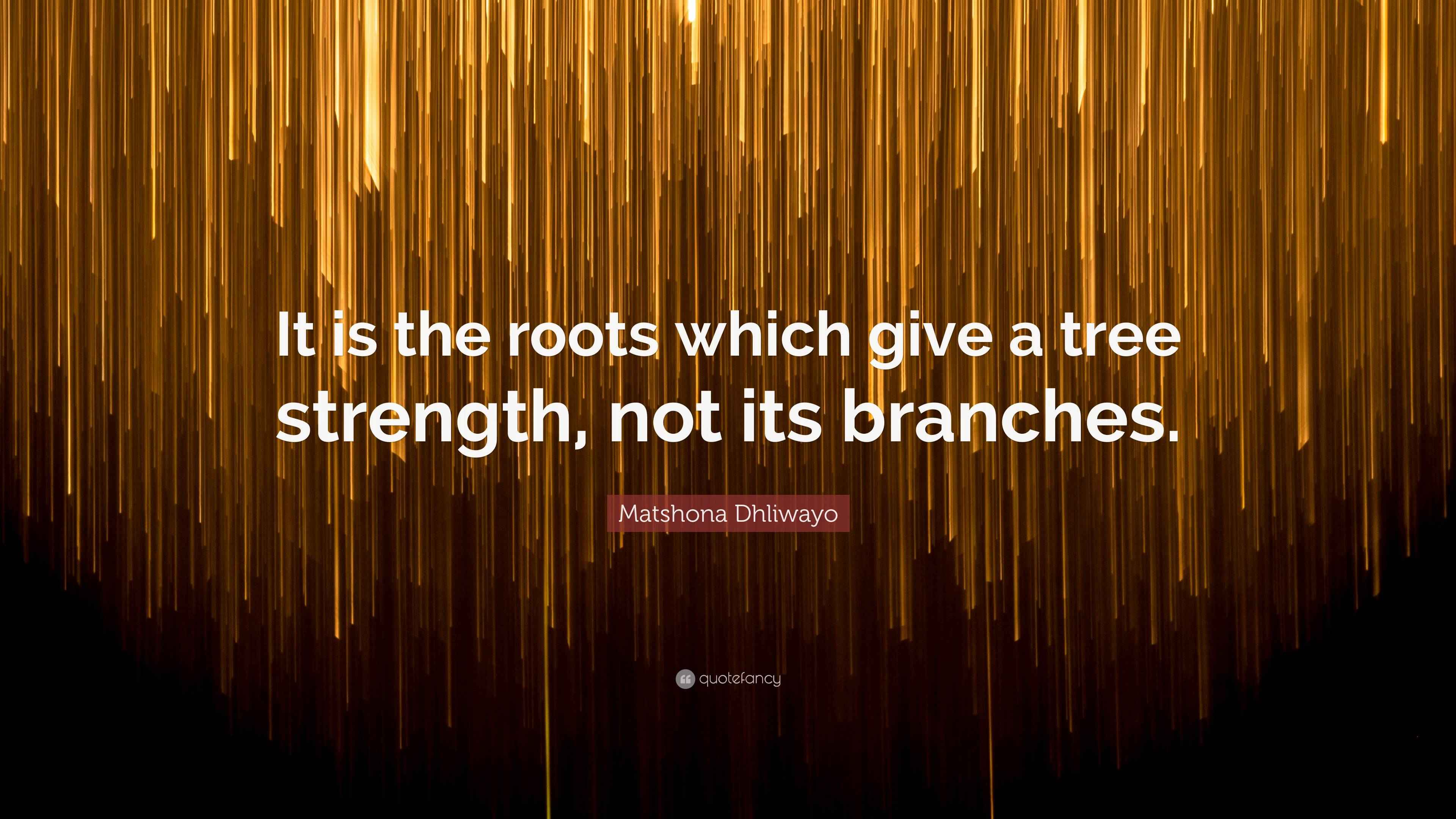 Matshona Dhliwayo Quote: “It is the roots which give a tree strength ...