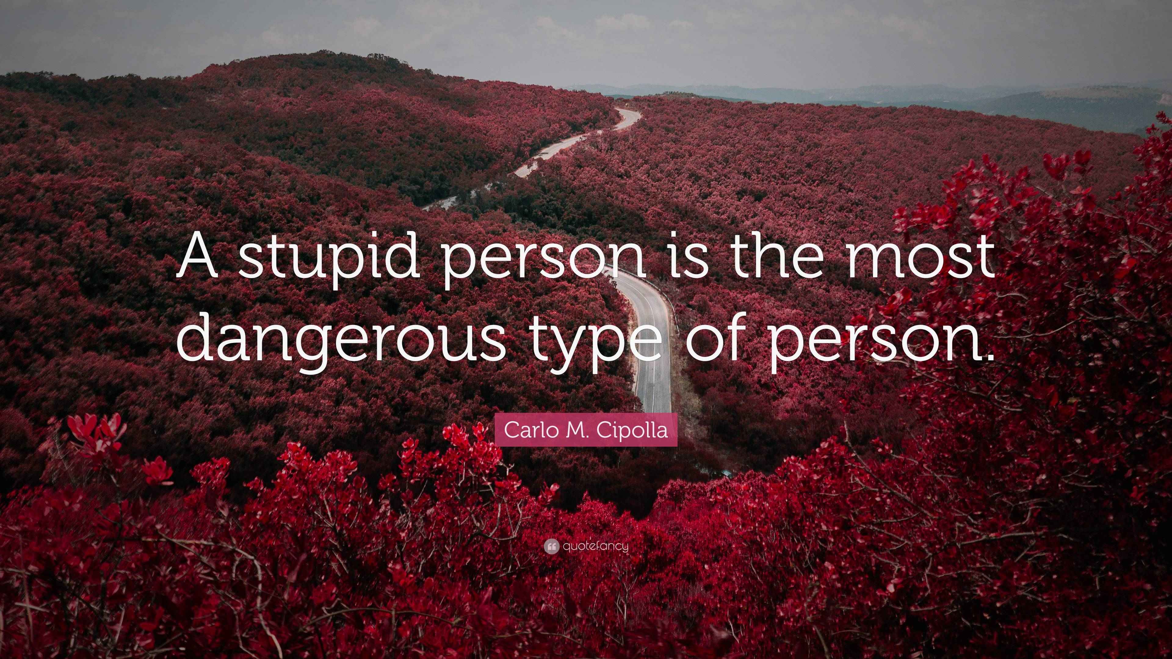The Most Stupid Person In The World