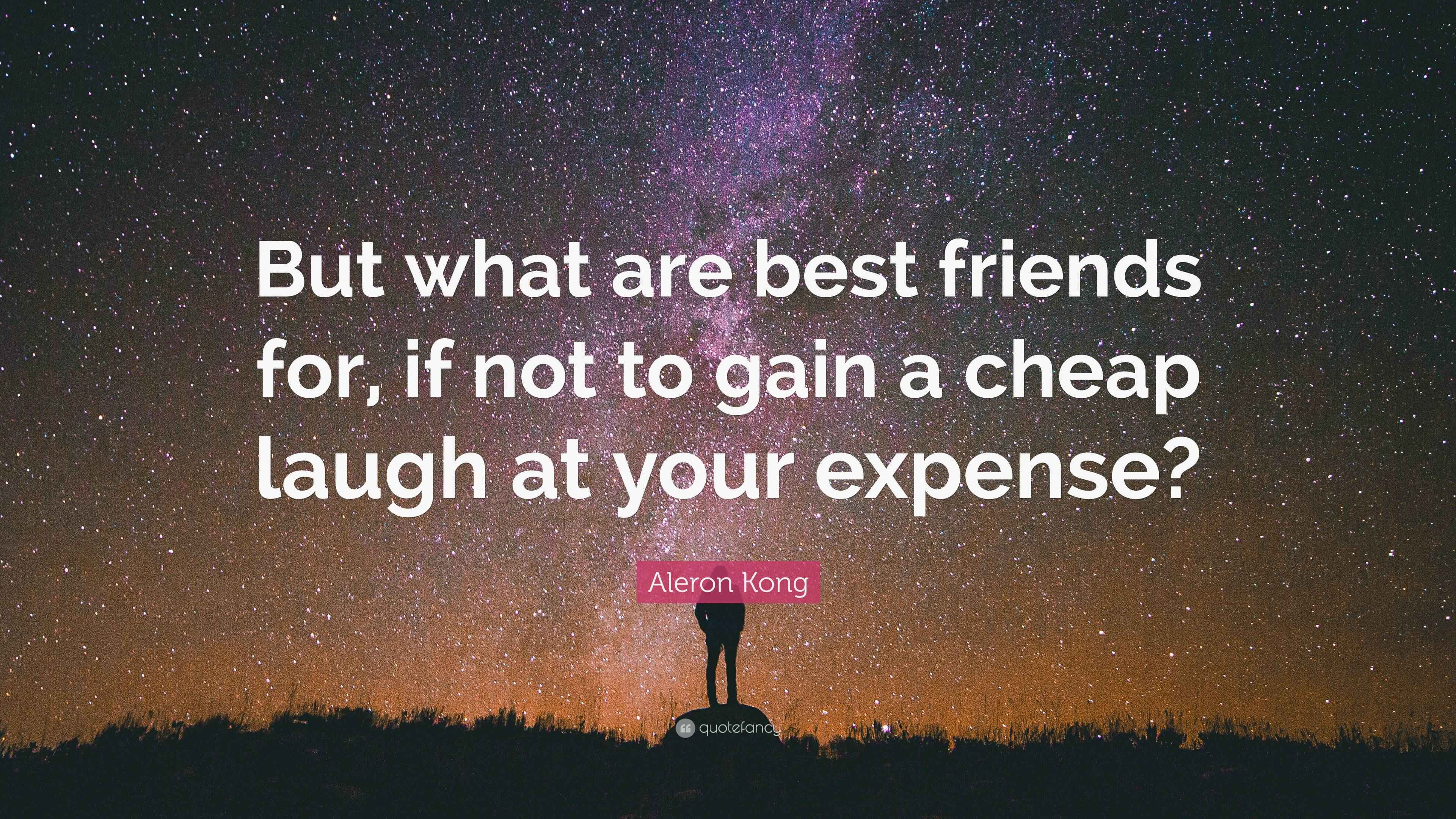 Aleron Kong Quote: “But what are best friends for, if not to gain a ...
