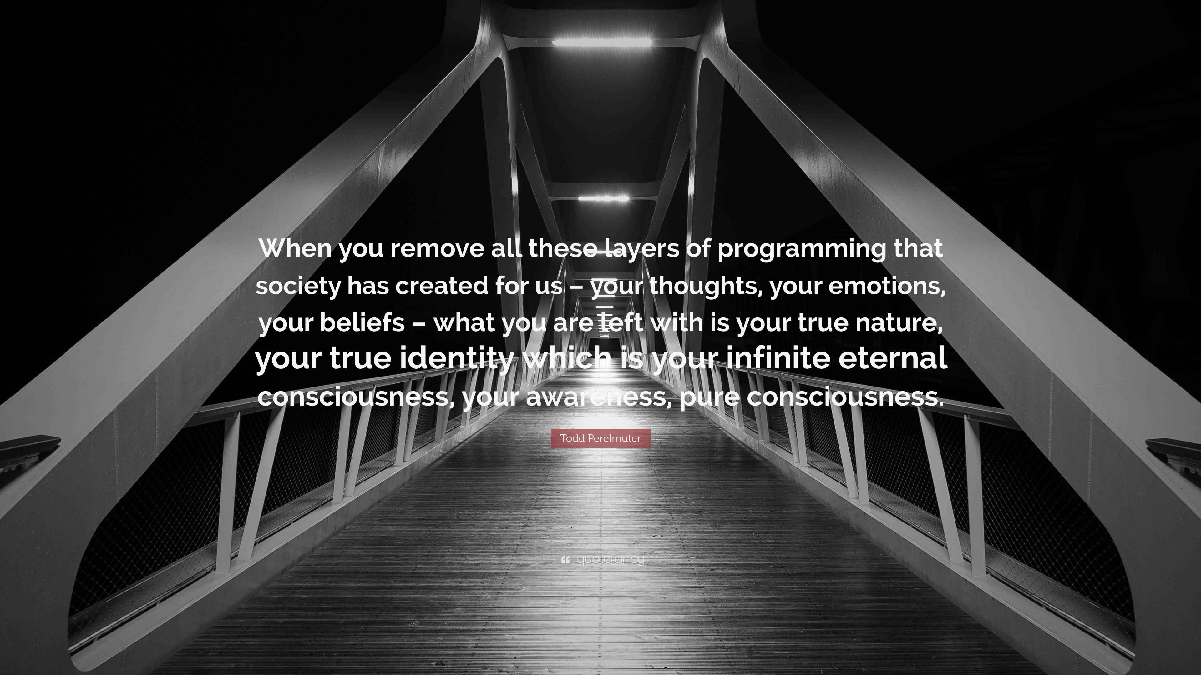 Todd Perelmuter Quote: “When you remove all these layers of programming ...