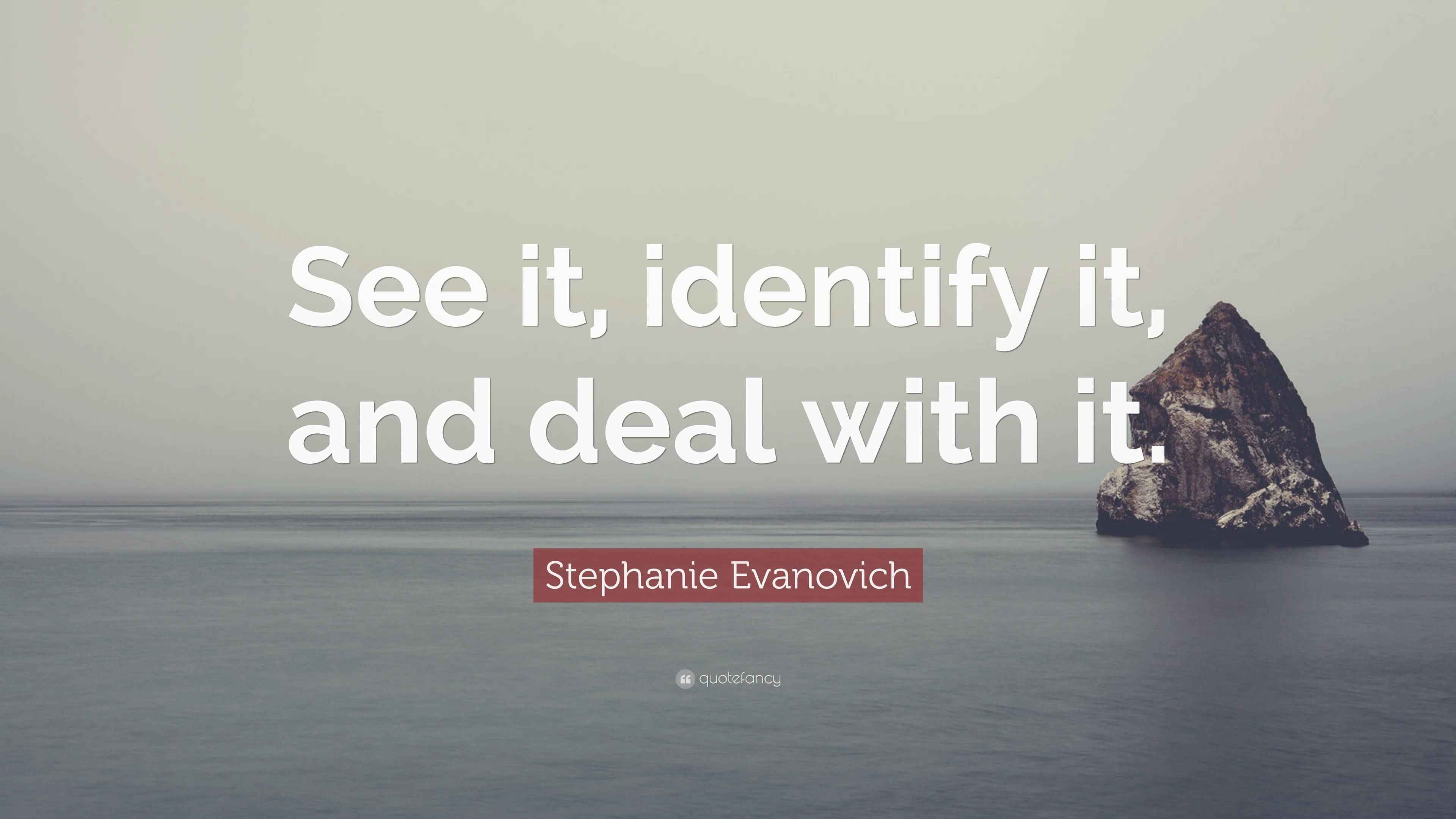 Stephanie Evanovich Quote: “See it, identify it, and deal with it.”