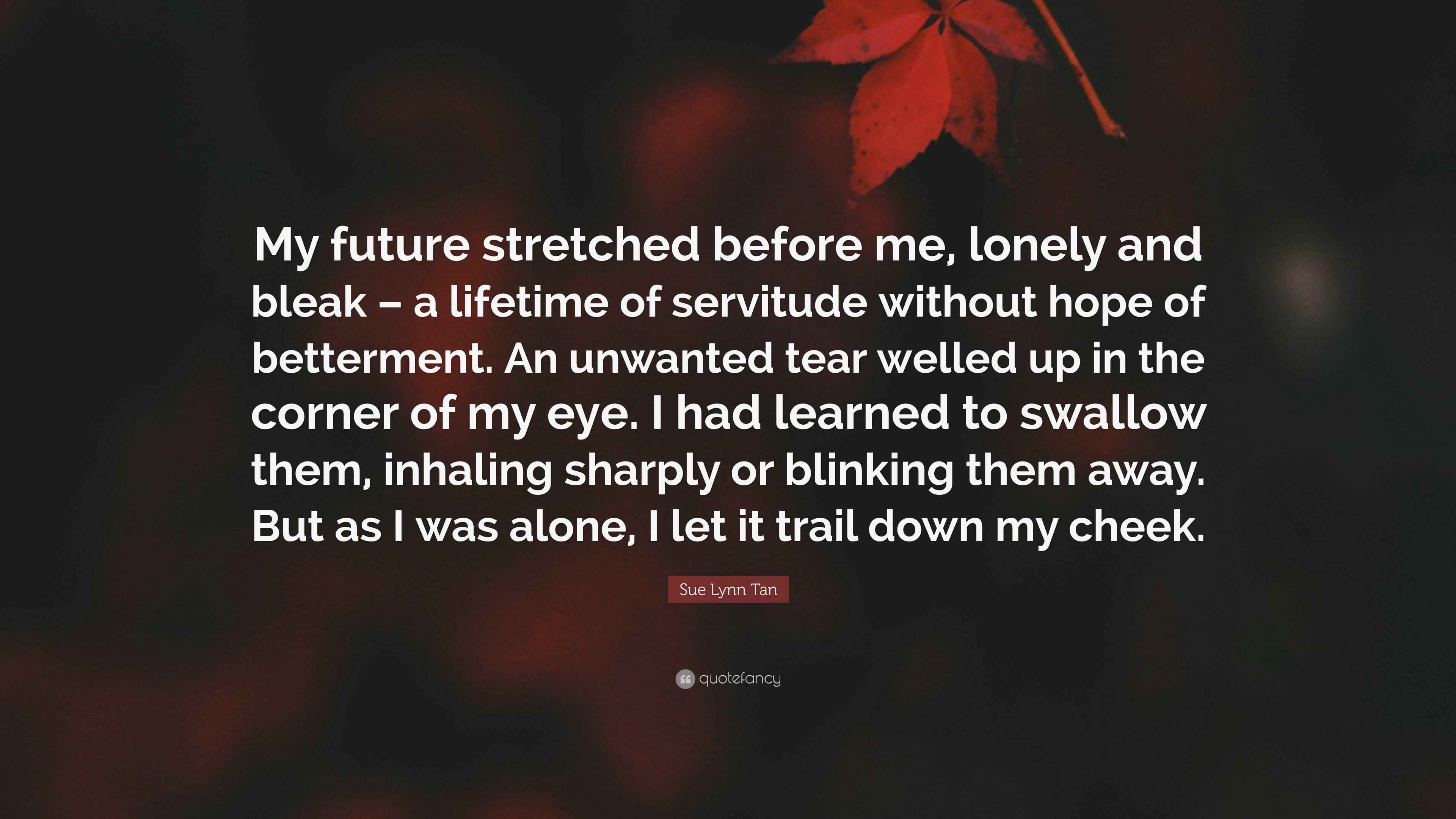 Sue Lynn Tan Quote: “My future stretched before me, lonely and bleak ...
