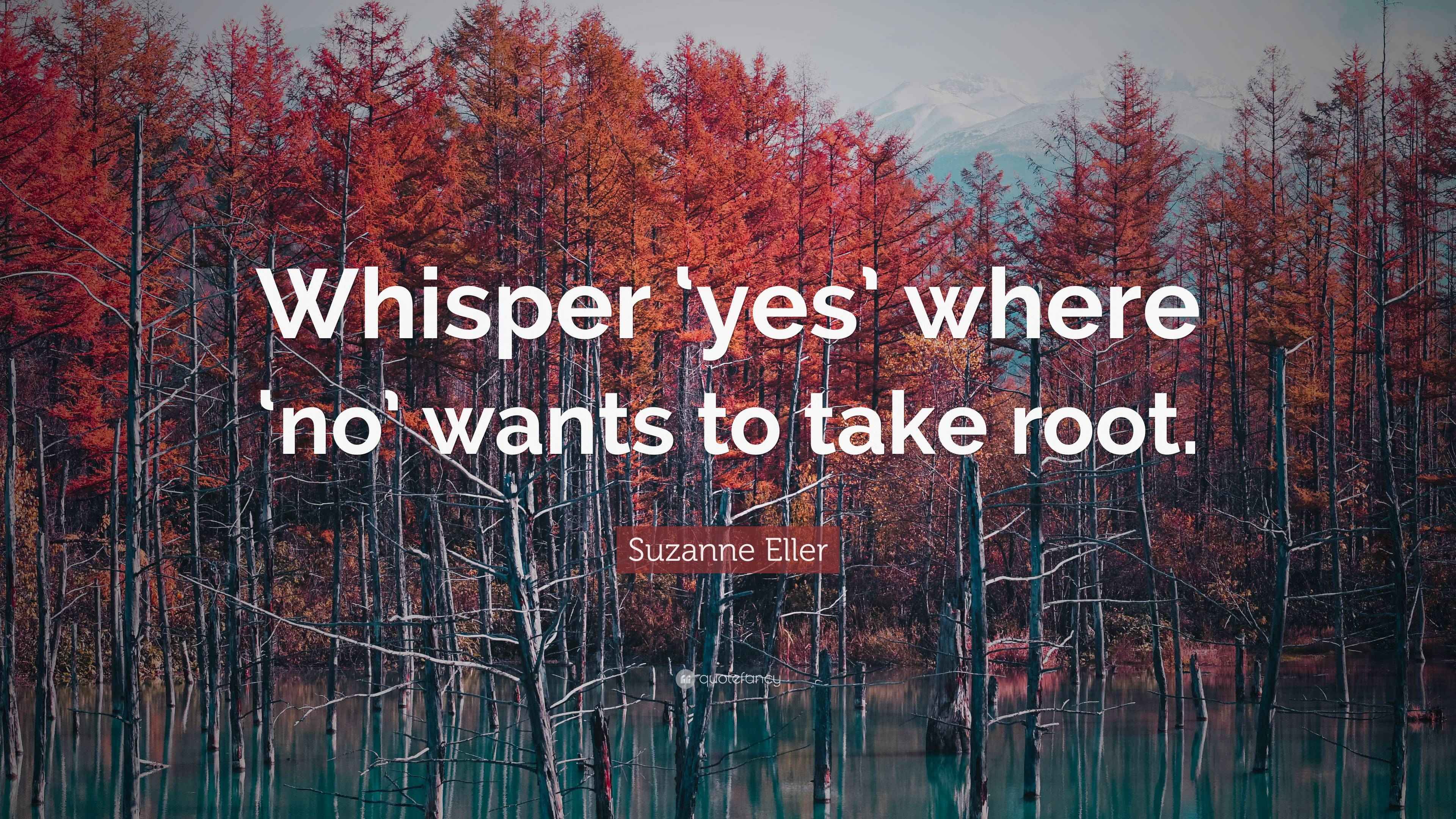 Suzanne Eller Quote: “Whisper ‘yes’ where ‘no’ wants to take root.”