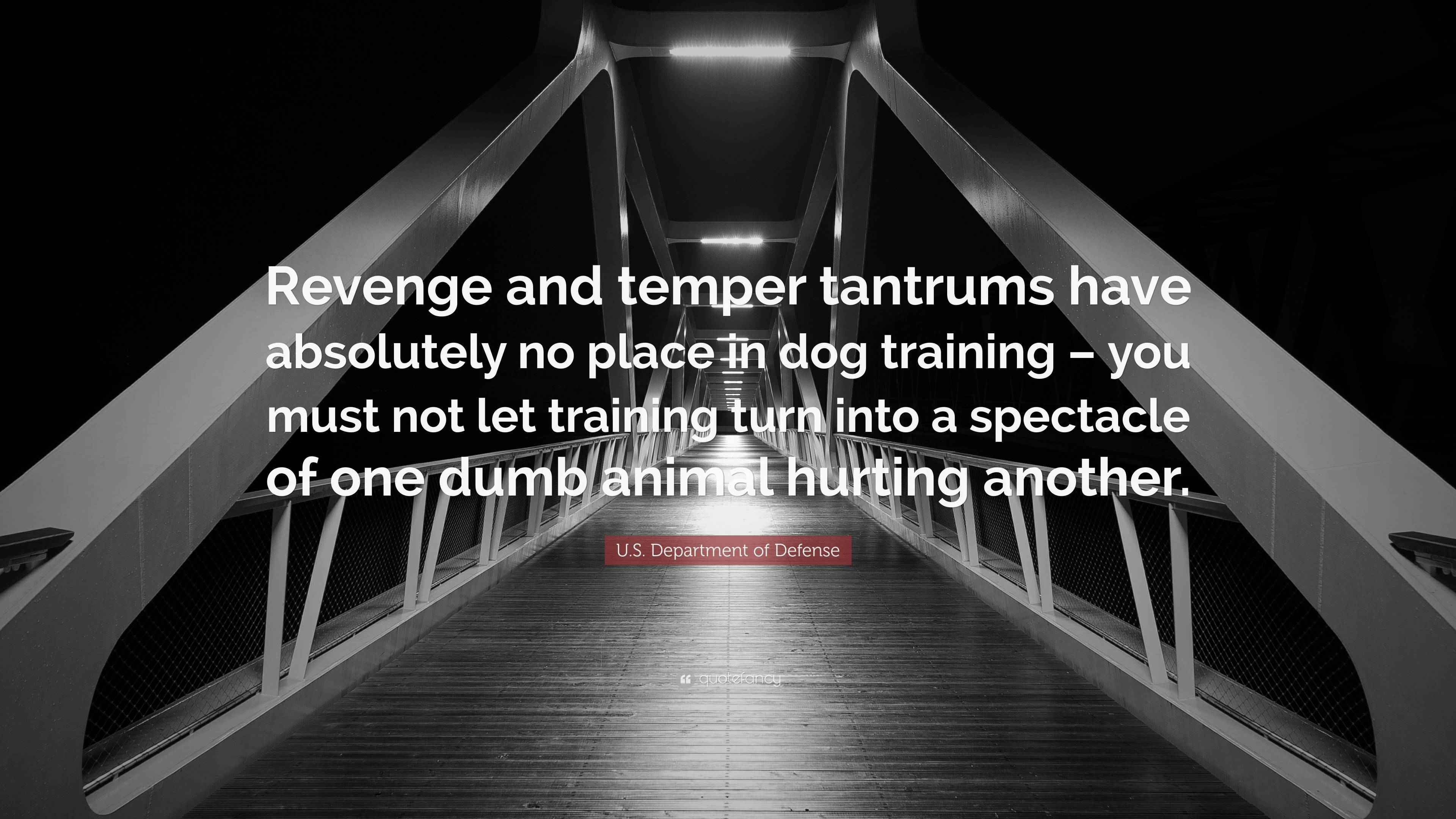 U.S. Department of Defense Quote: “Revenge and temper tantrums have ...