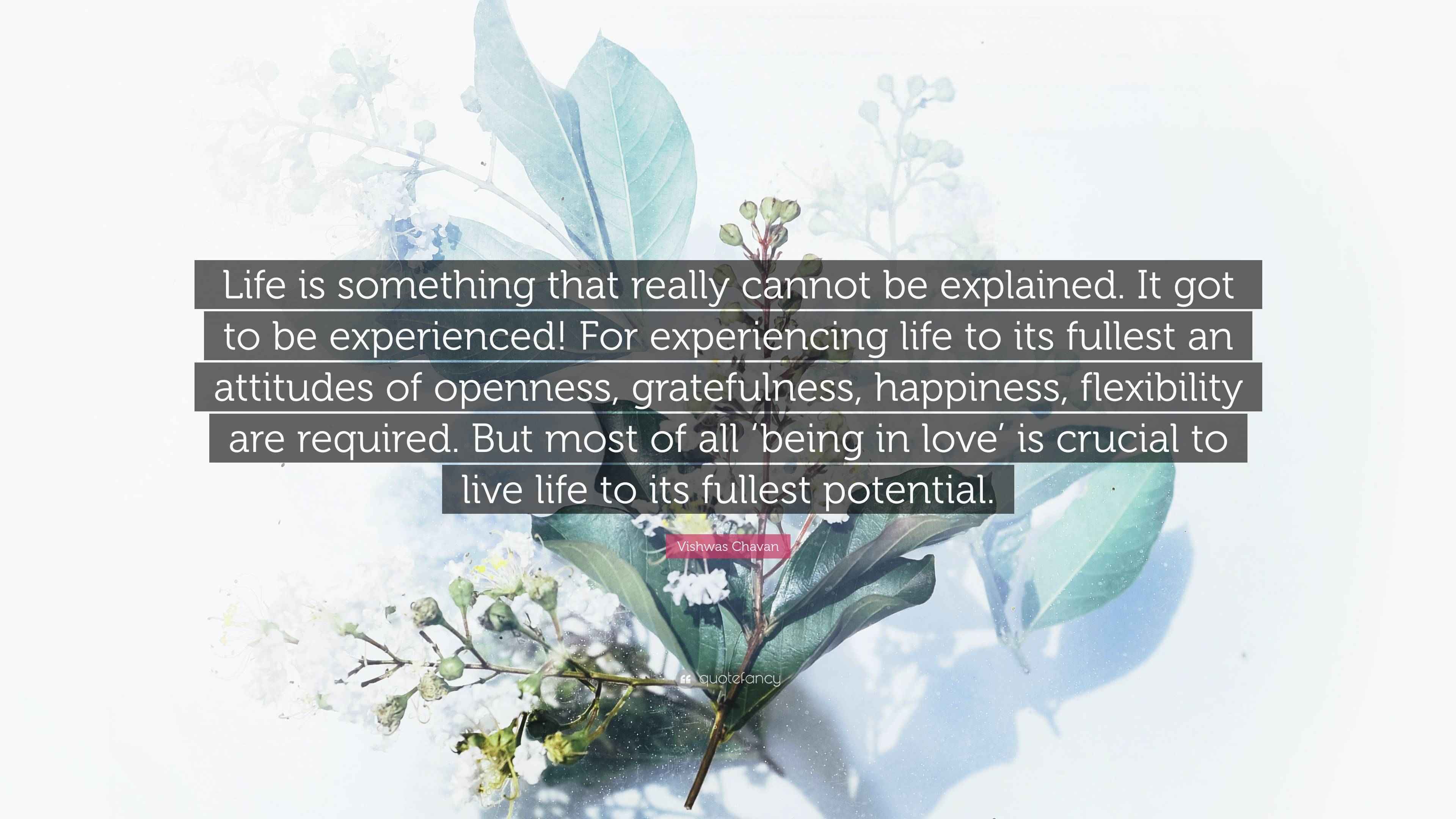 Vishwas Chavan Quote: “Life is something that really cannot be ...