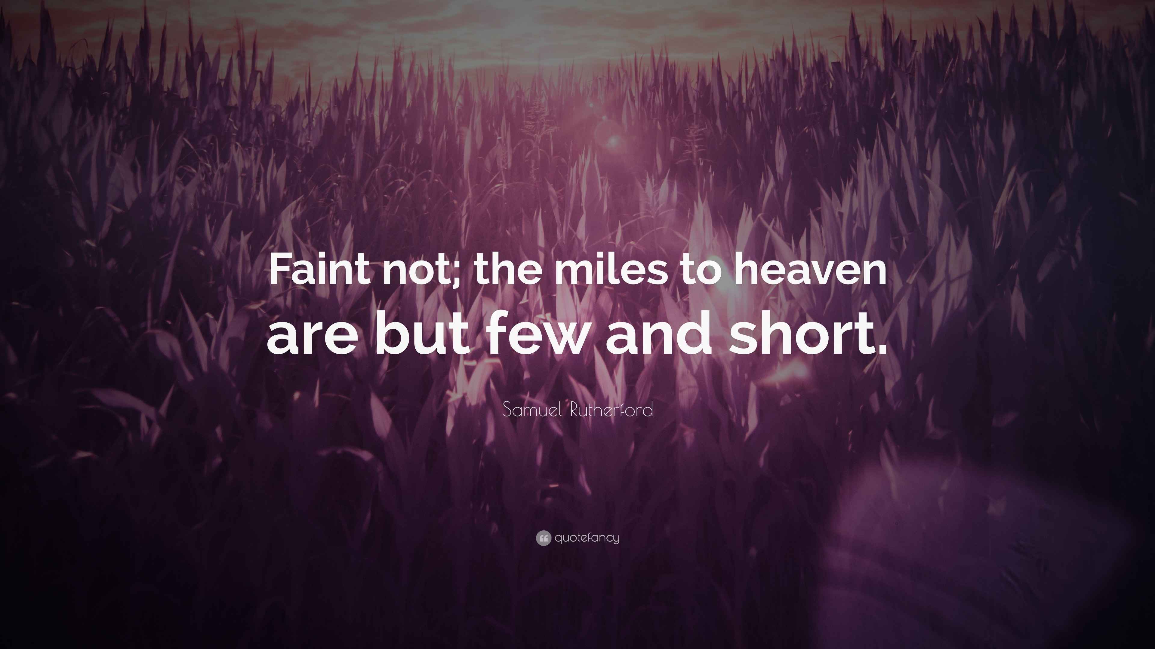 Samuel Rutherford Quote: “Faint not; the miles to heaven are but few ...