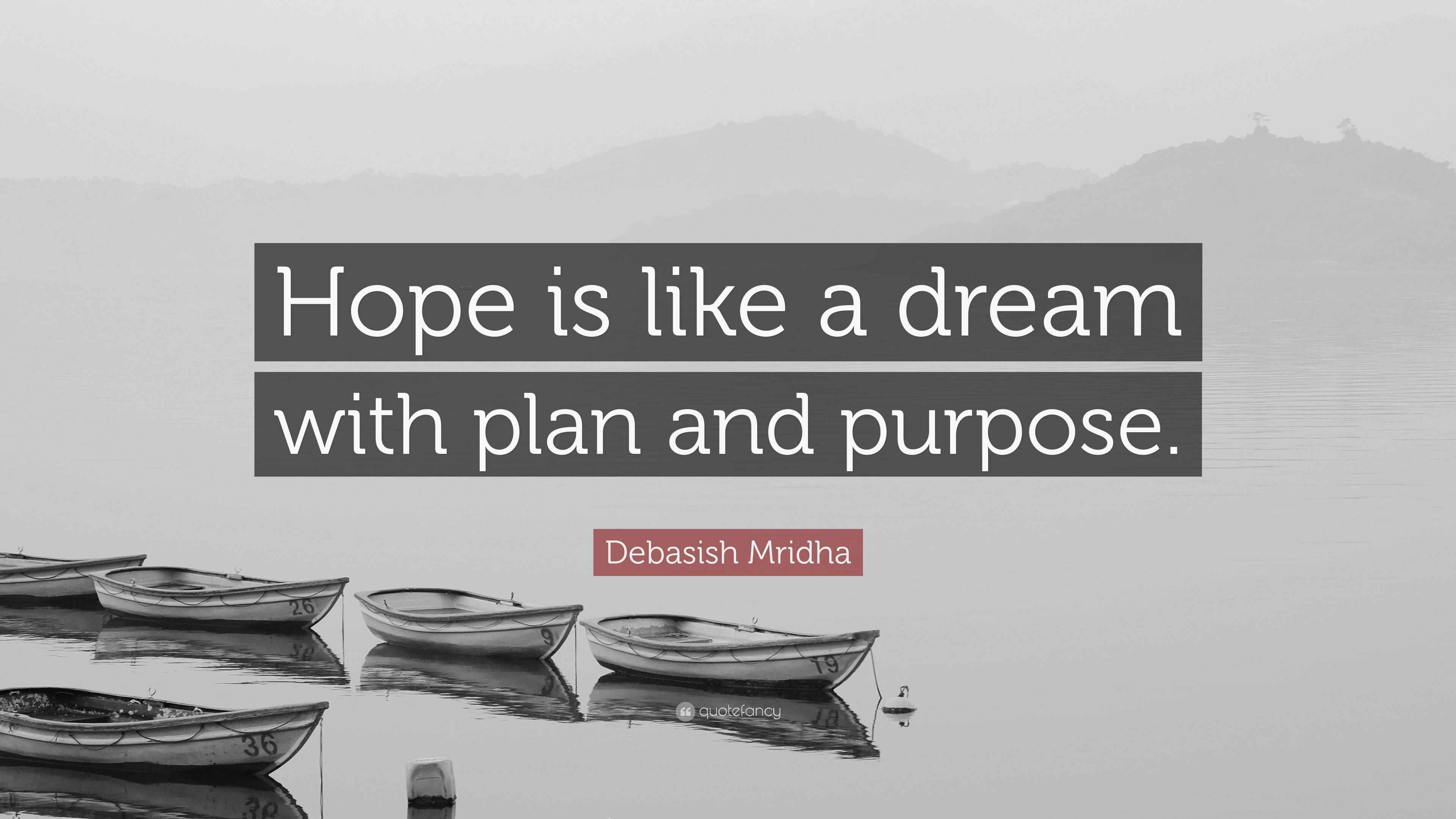 Debasish Mridha Quote: “Hope is like a dream with plan and purpose.”