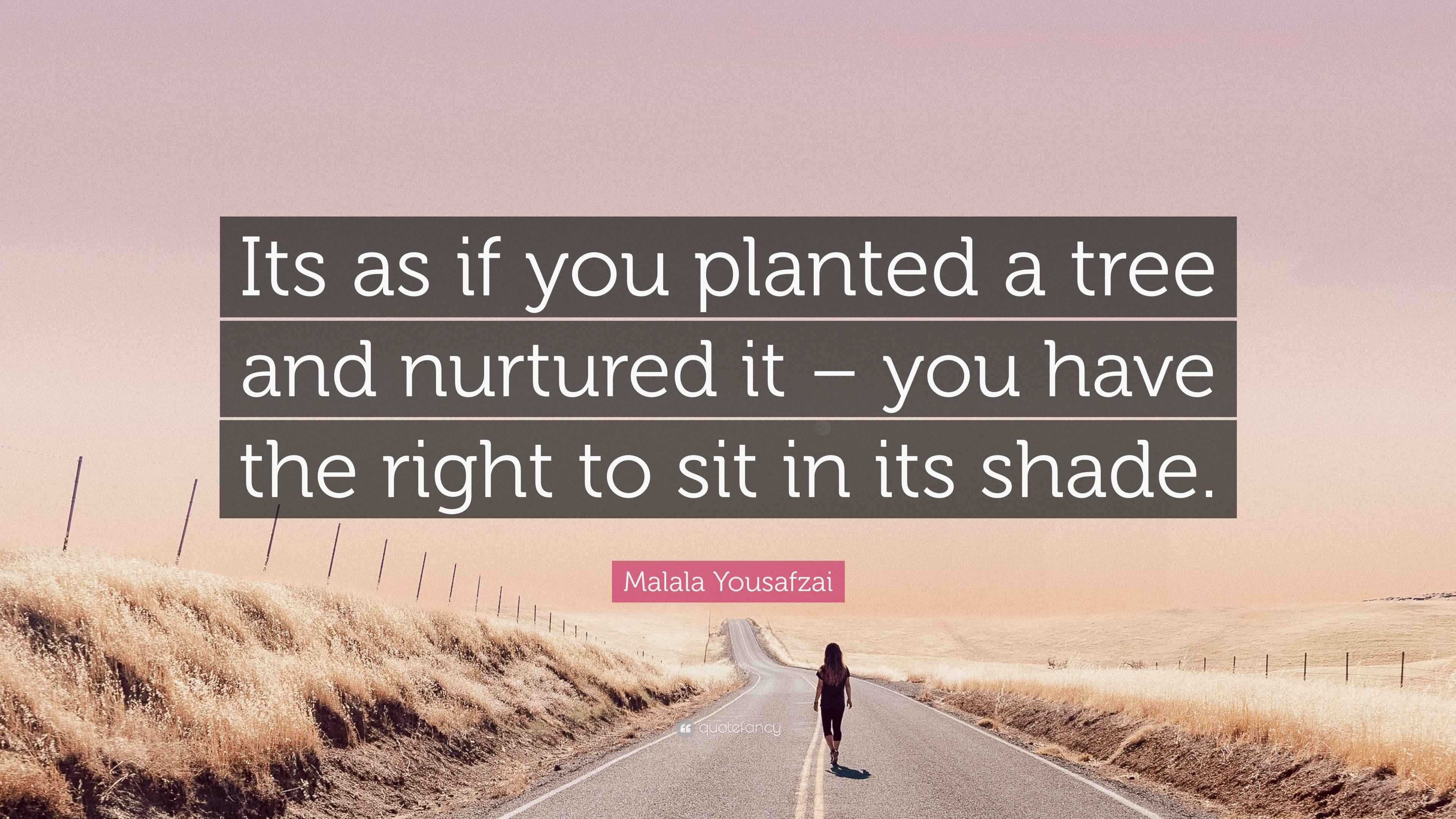 Malala Yousafzai Quote: “Its as if you planted a tree and nurtured it ...