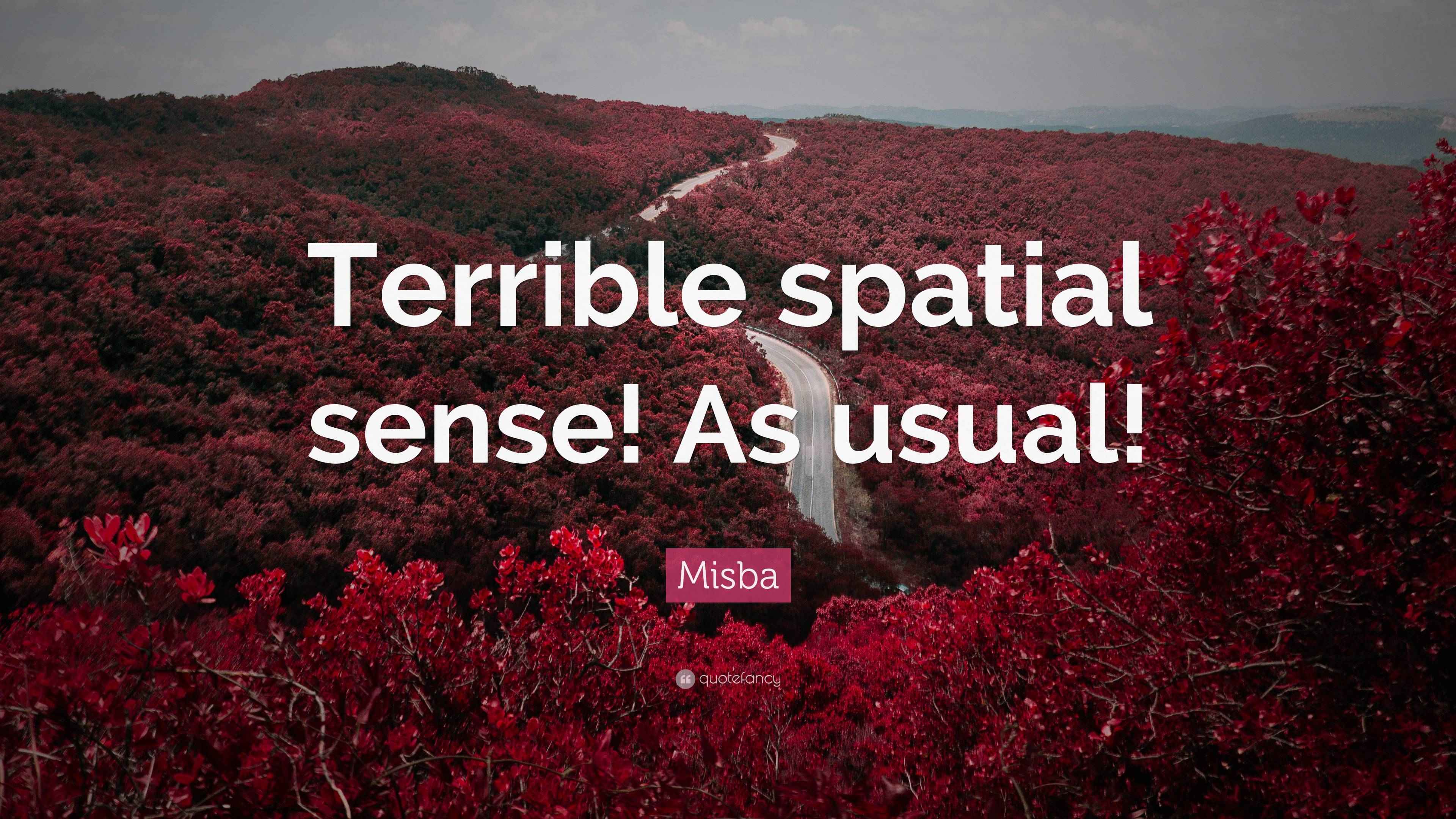 Misba Quote: “Terrible spatial sense! As usual!”