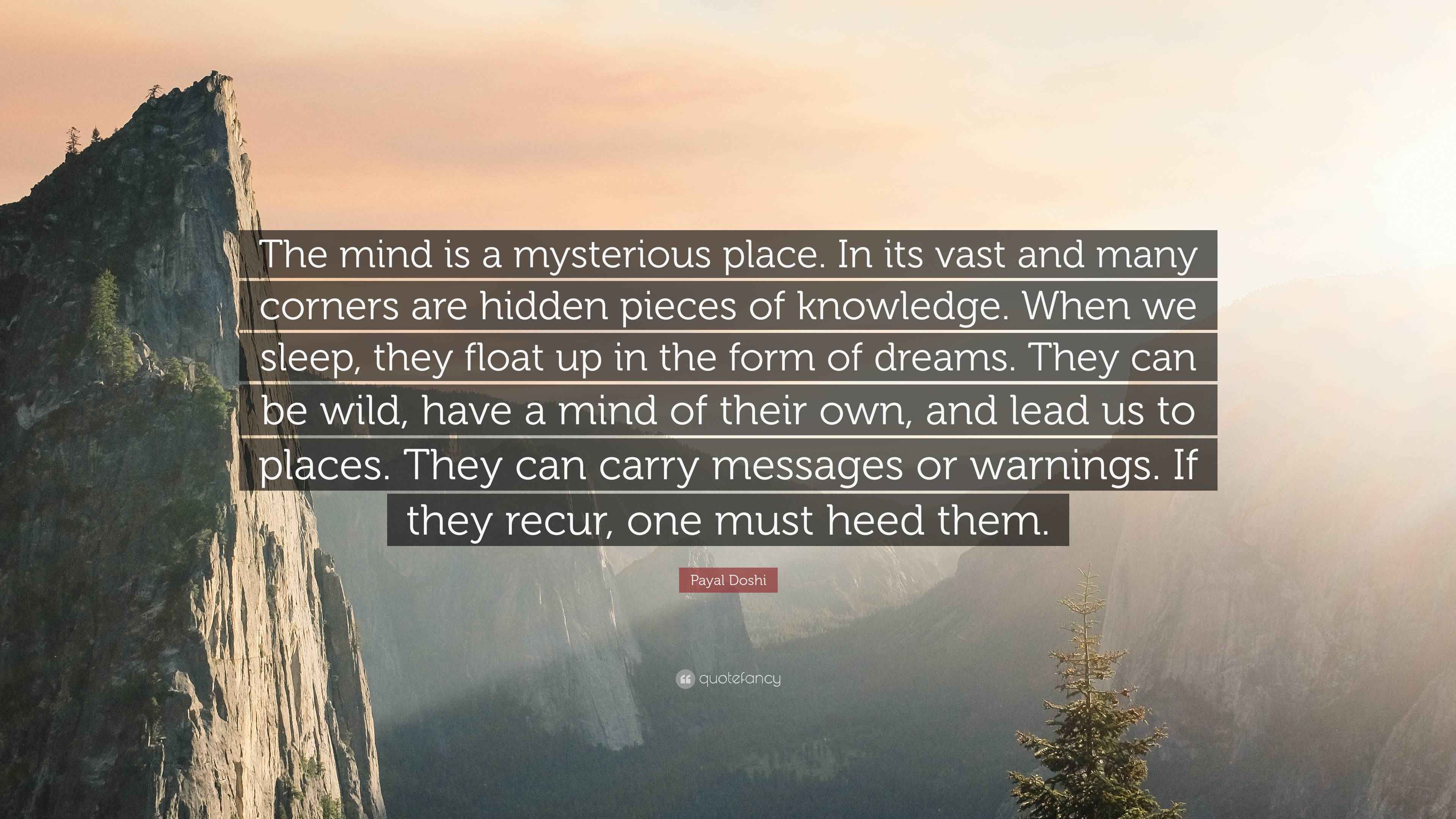 Payal Doshi Quote: “The mind is a mysterious place. In its vast and ...