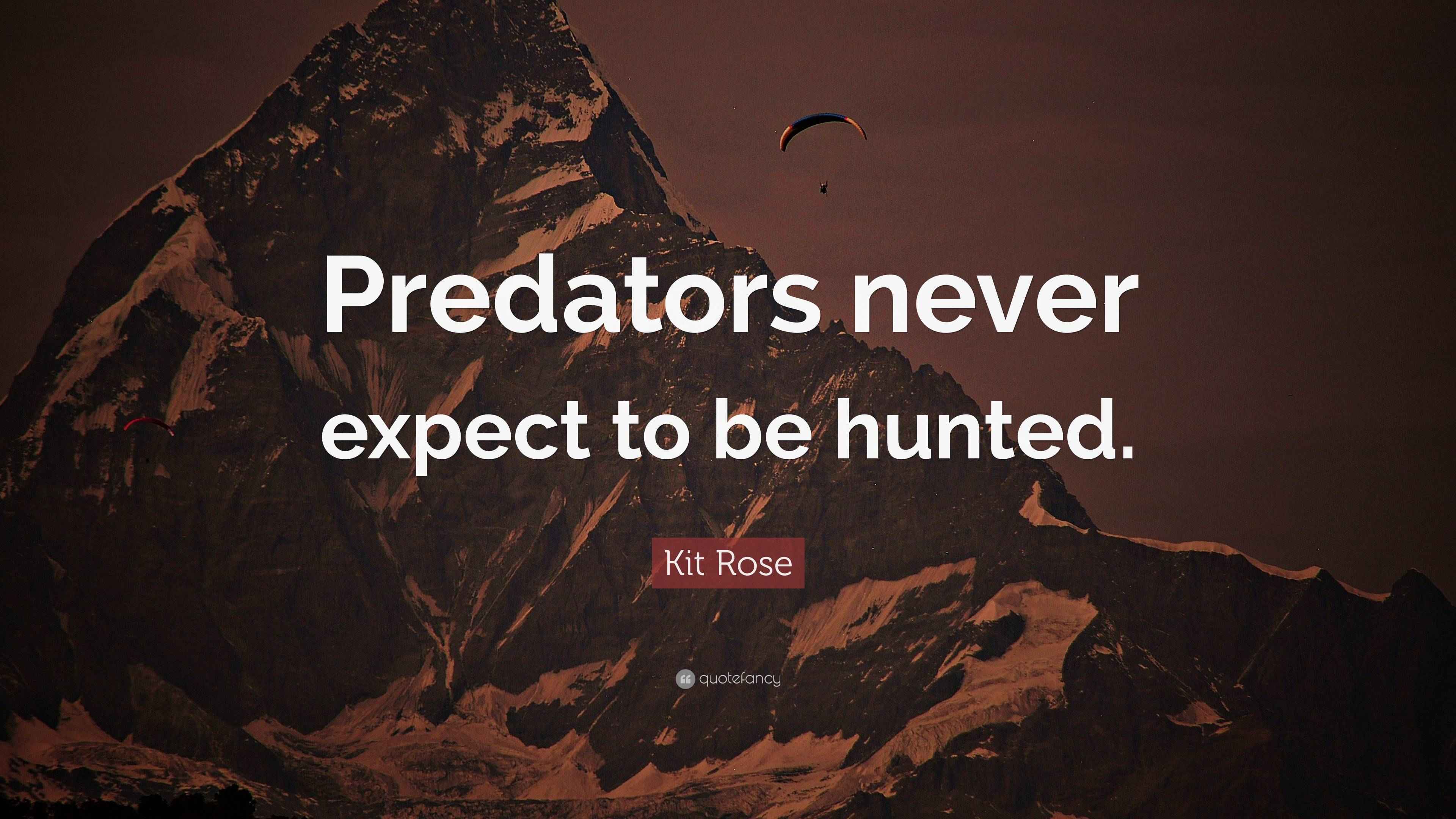 Kit Rose Quote: “Predators never expect to be hunted.”