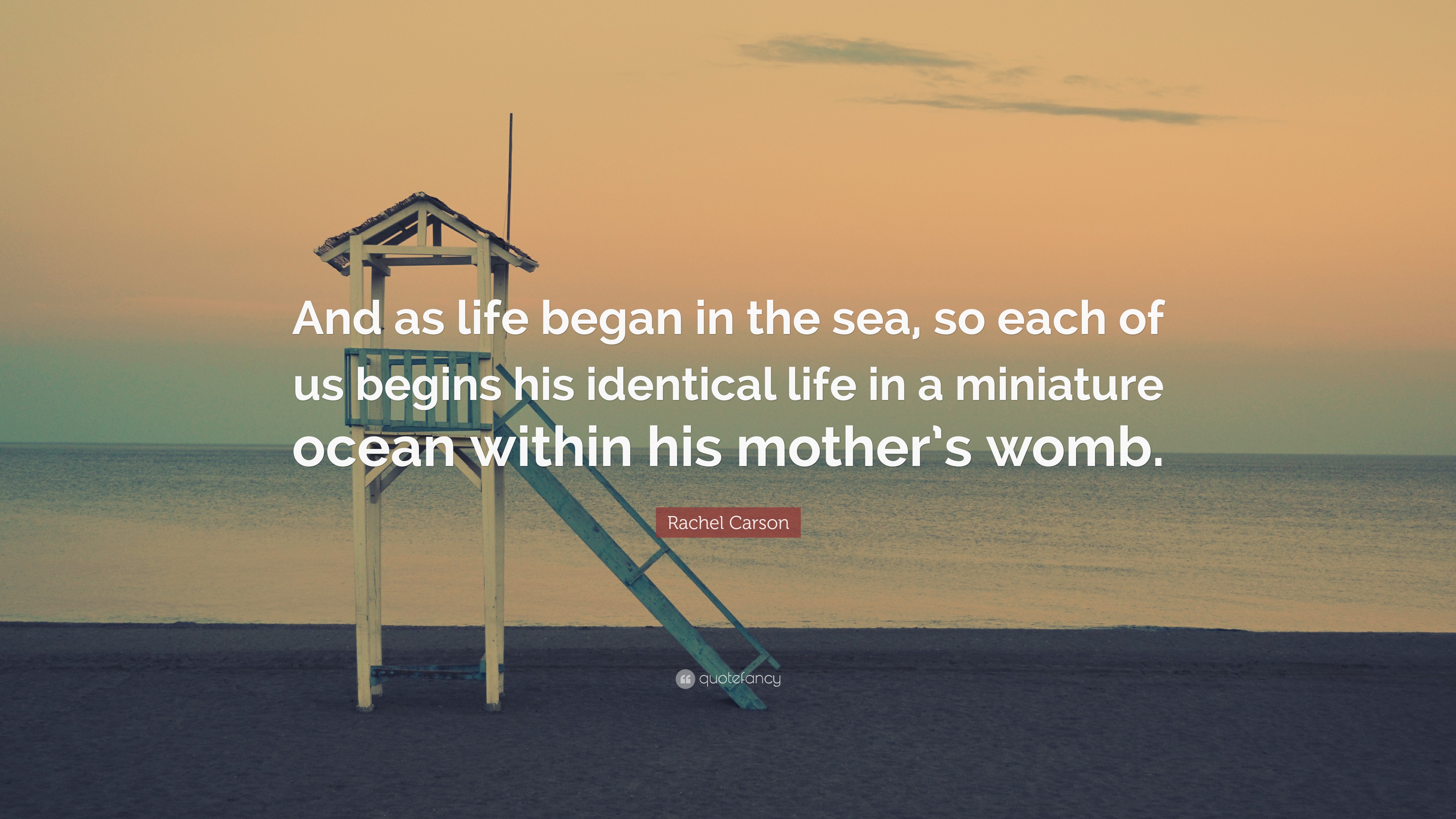 Rachel Carson Quote: “And as life began in the sea, so each of us ...