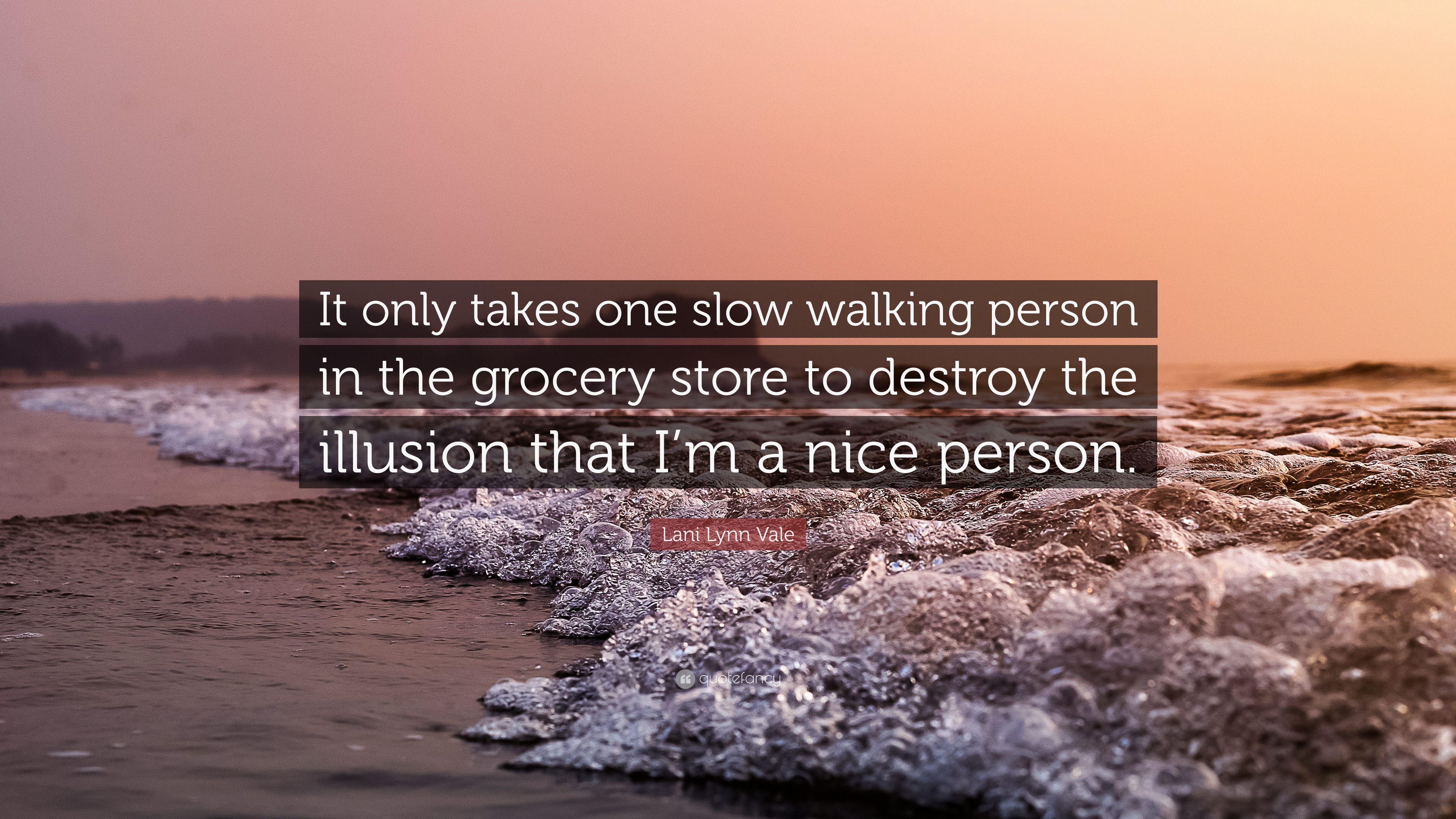 Lani Lynn Vale Quote: “It only takes one slow walking person in the ...