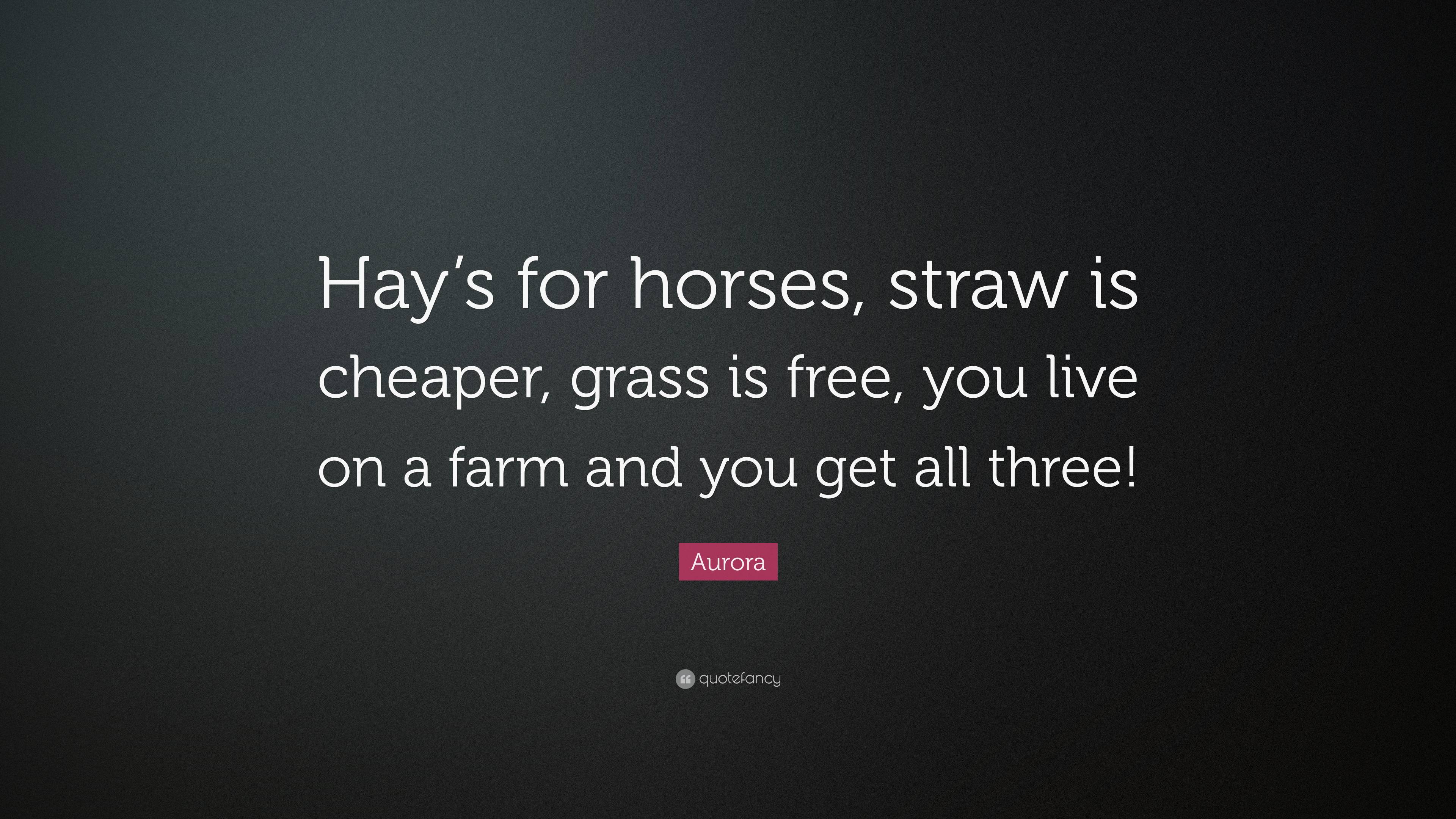 Aurora Quote: “Hay’s for horses, straw is cheaper, grass is free, you ...
