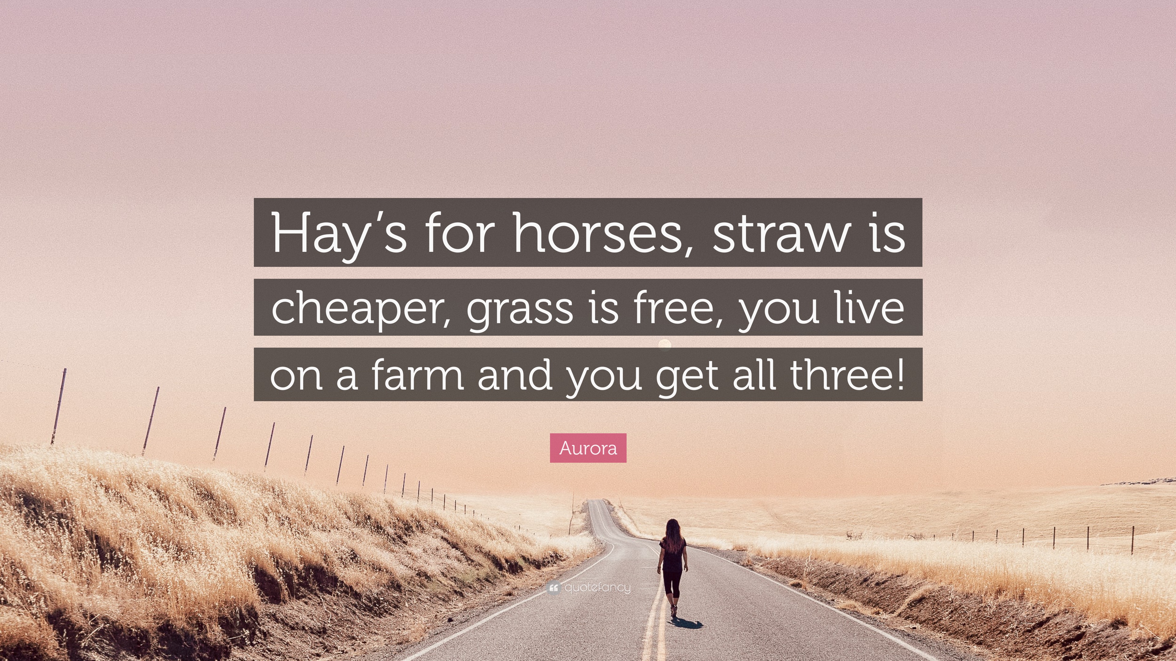 Aurora Quote: “Hay’s for horses, straw is cheaper, grass is free, you ...