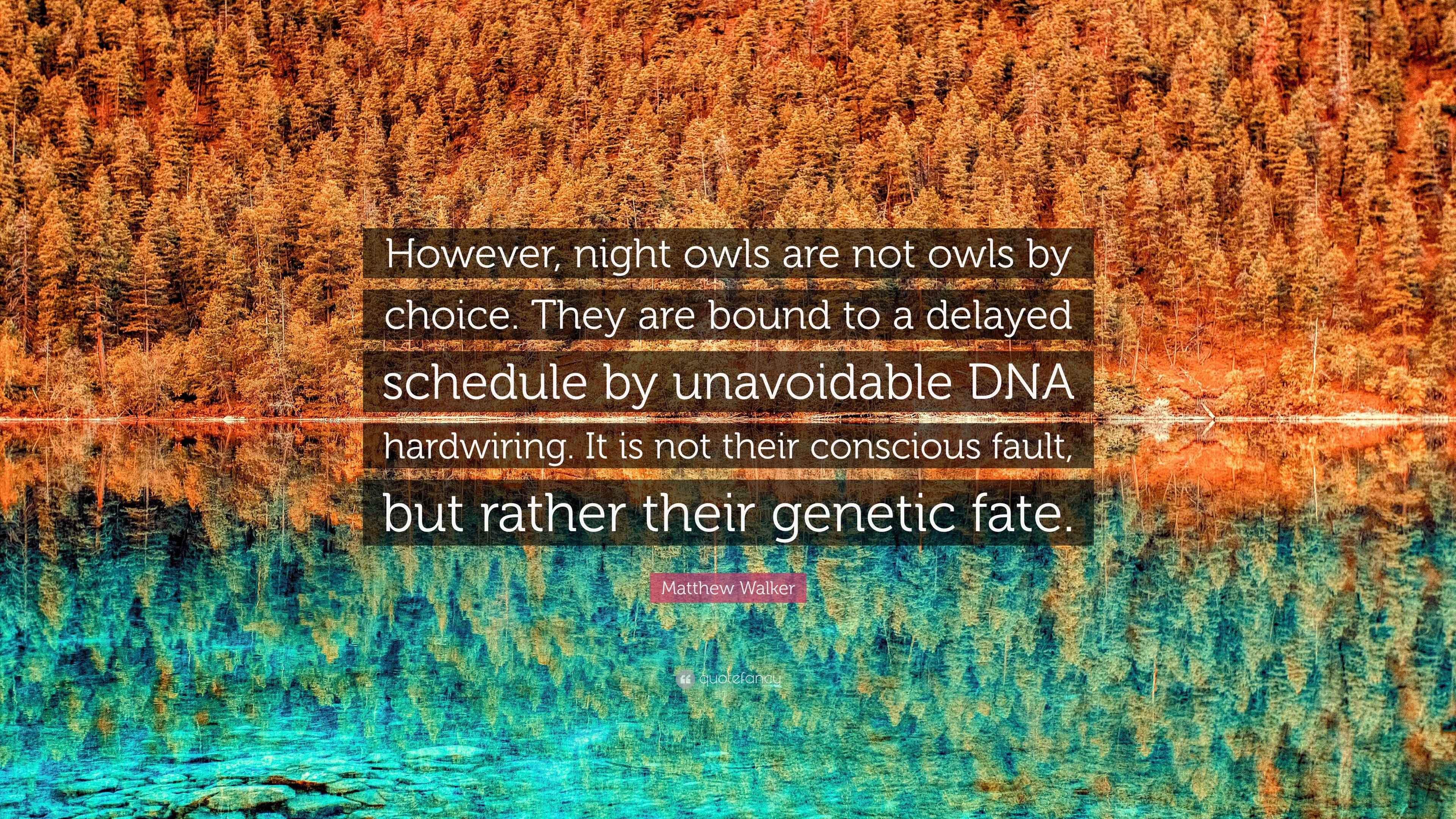 Matthew Walker Quote: “However, night owls are not owls by choice. They ...