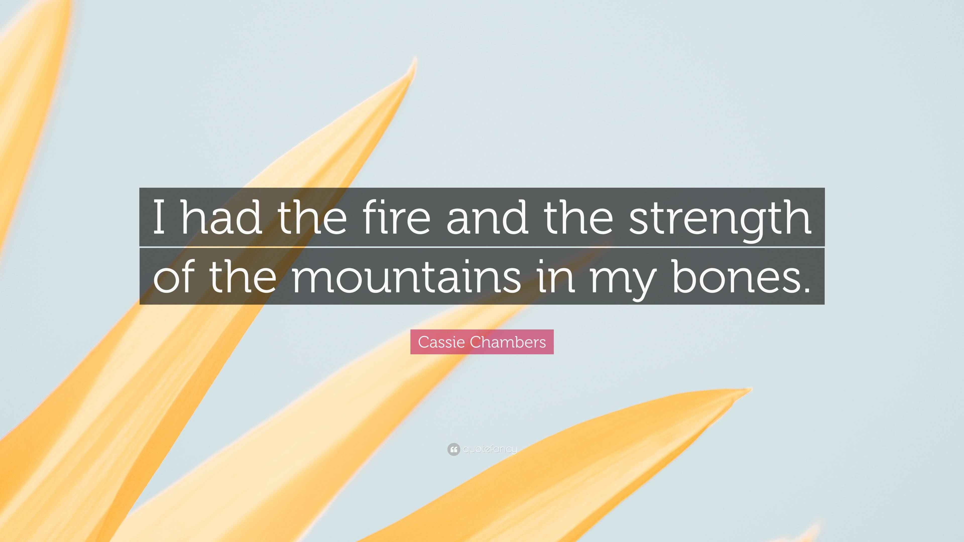 Cassie Chambers Quote: “I had the fire and the strength of the ...