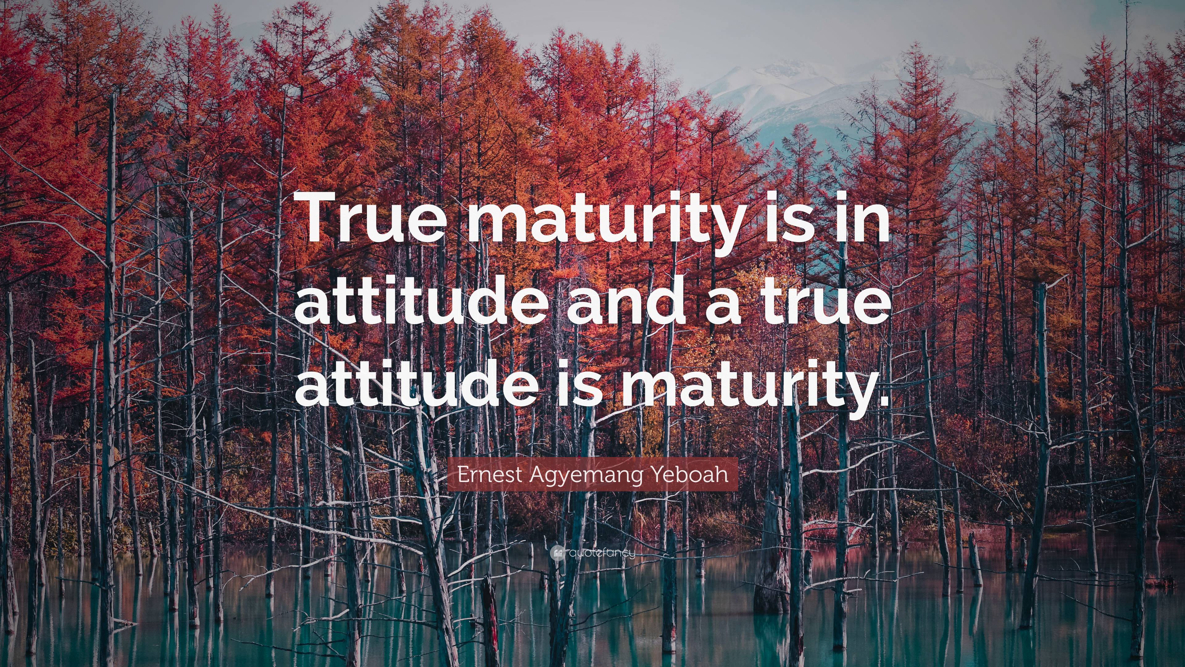 Ernest Agyemang Yeboah Quote: “True maturity is in attitude and a true ...