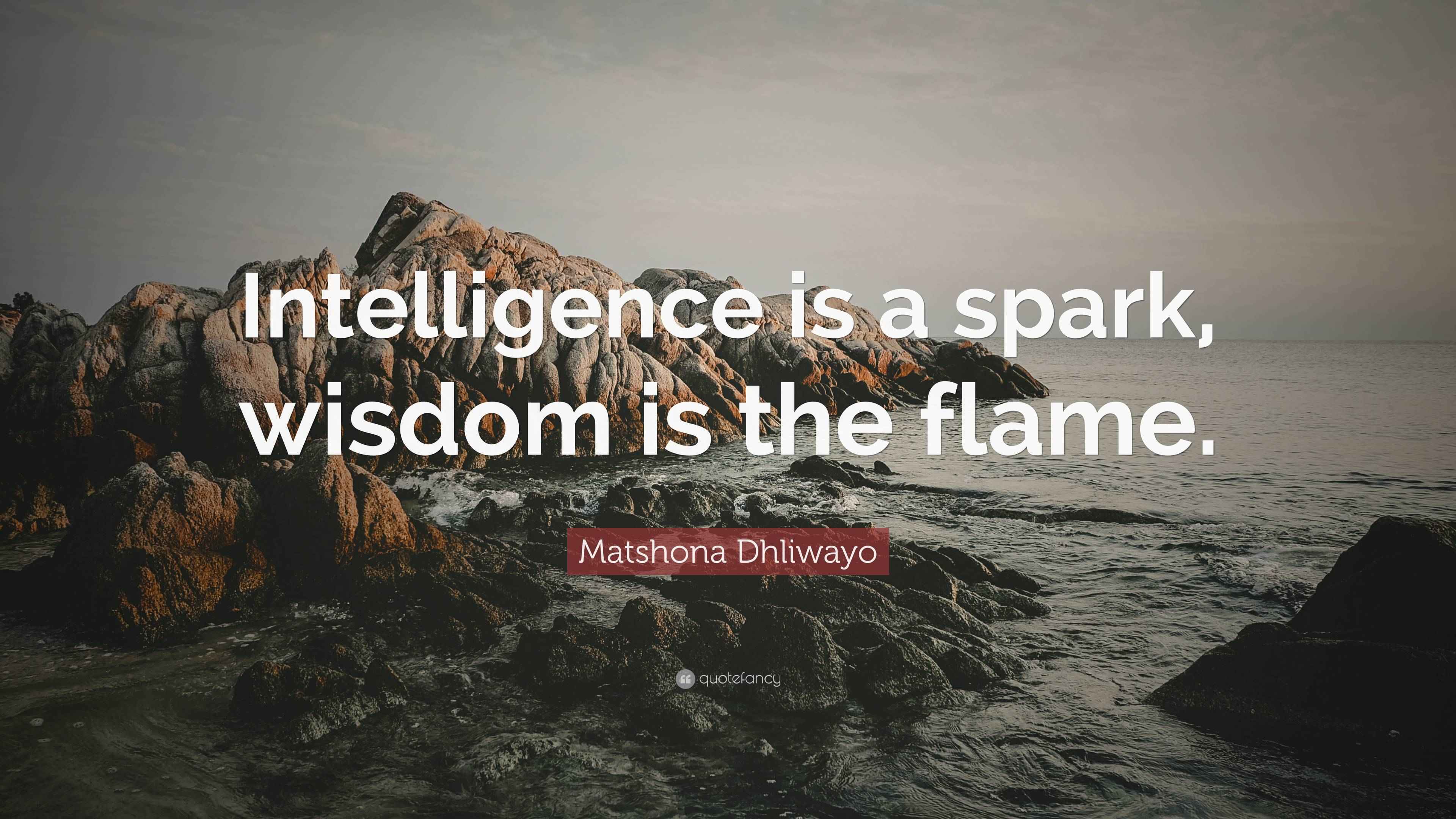 Matshona Dhliwayo Quote: “Intelligence is a spark, wisdom is the flame.”