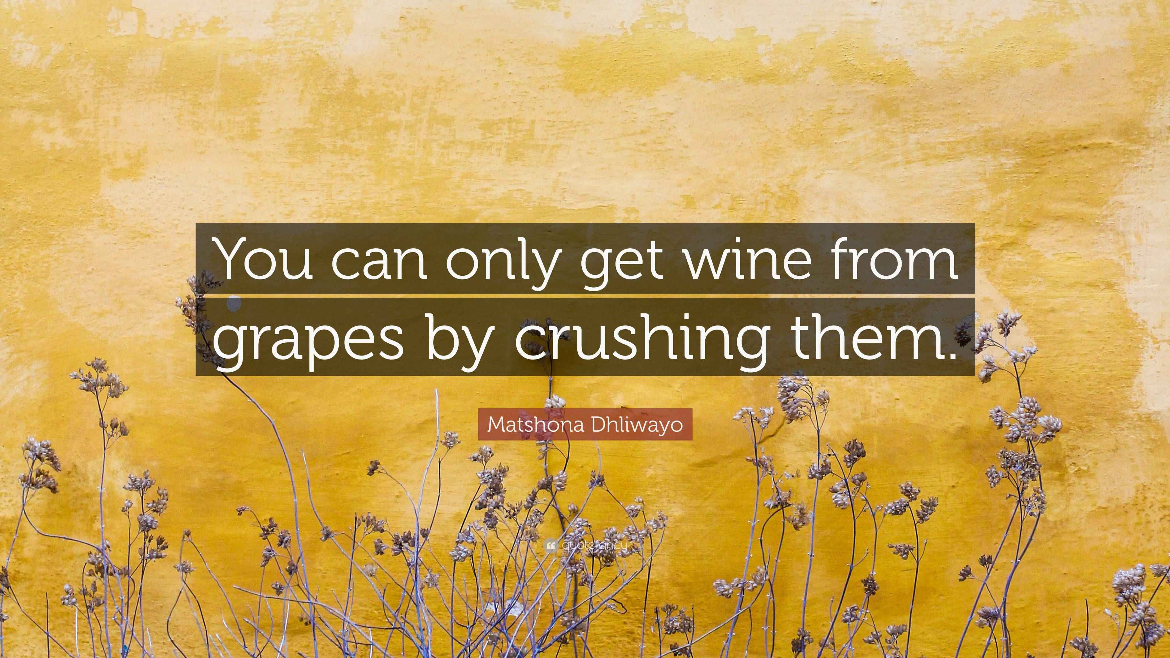 Matshona Dhliwayo Quote: “You can only get wine from grapes by crushing ...