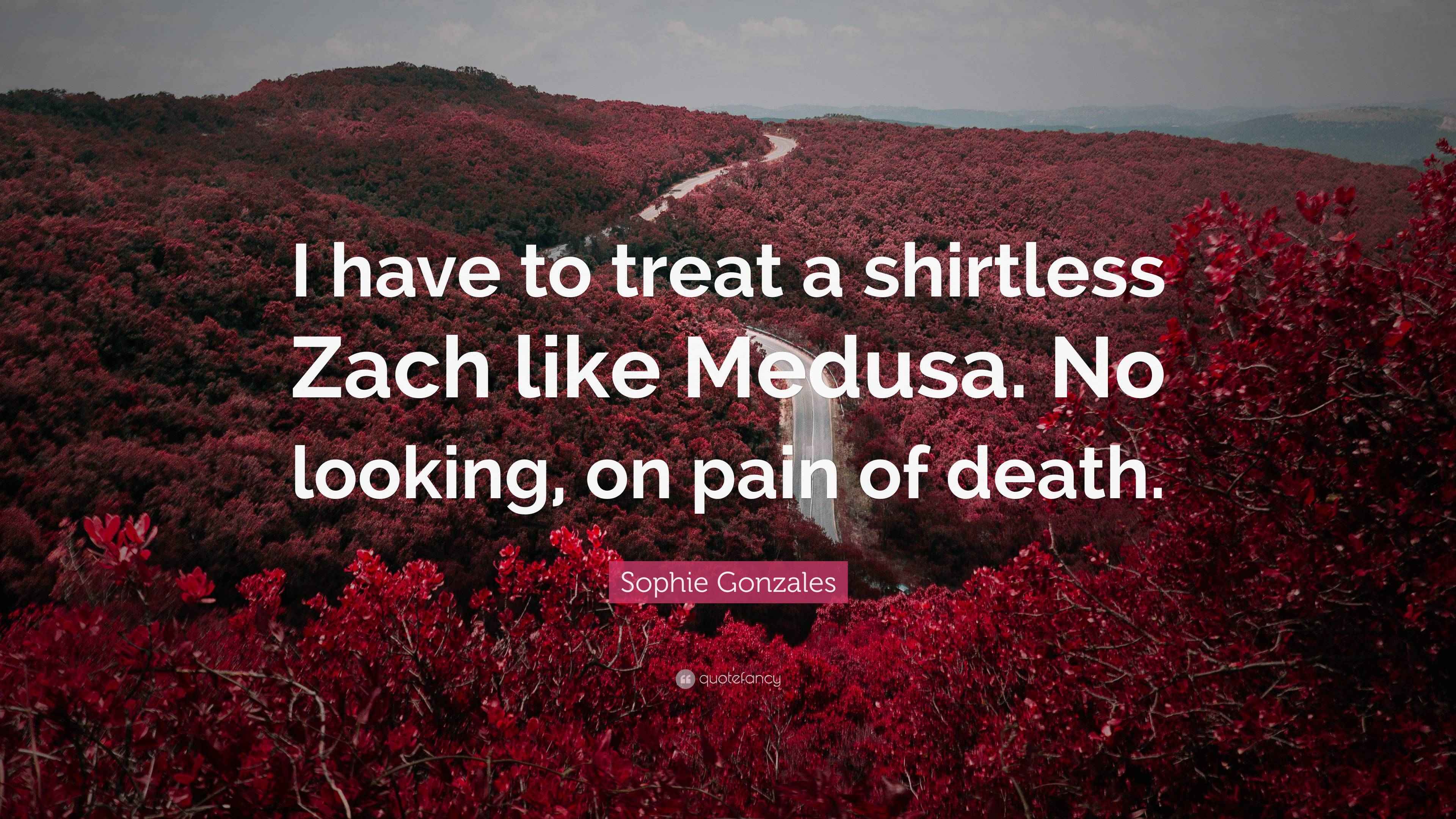 Sophie Gonzales Quote: “I have to treat a shirtless Zach like Medusa ...