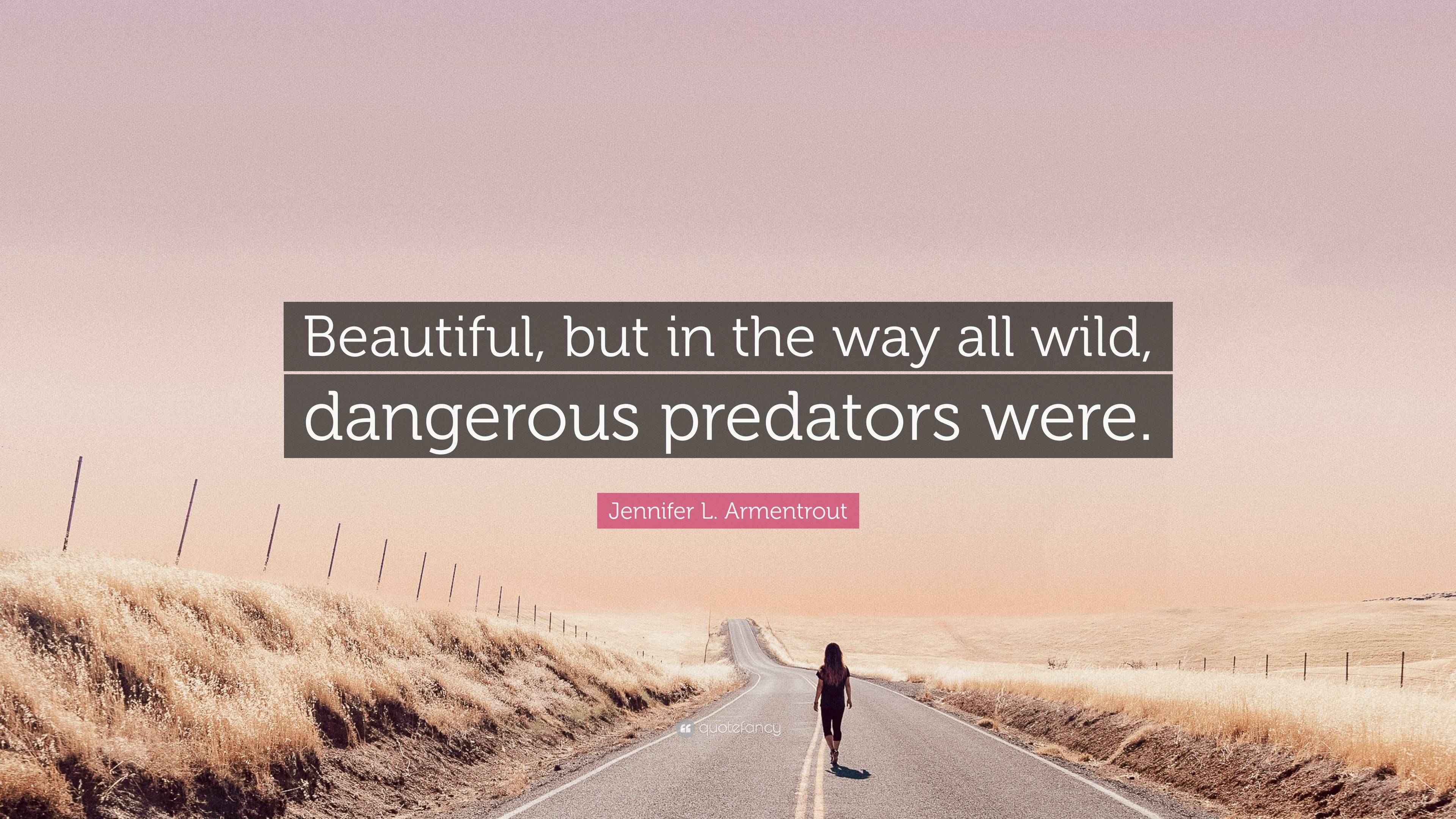 Jennifer L. Armentrout Quote: “Beautiful, but in the way all wild ...