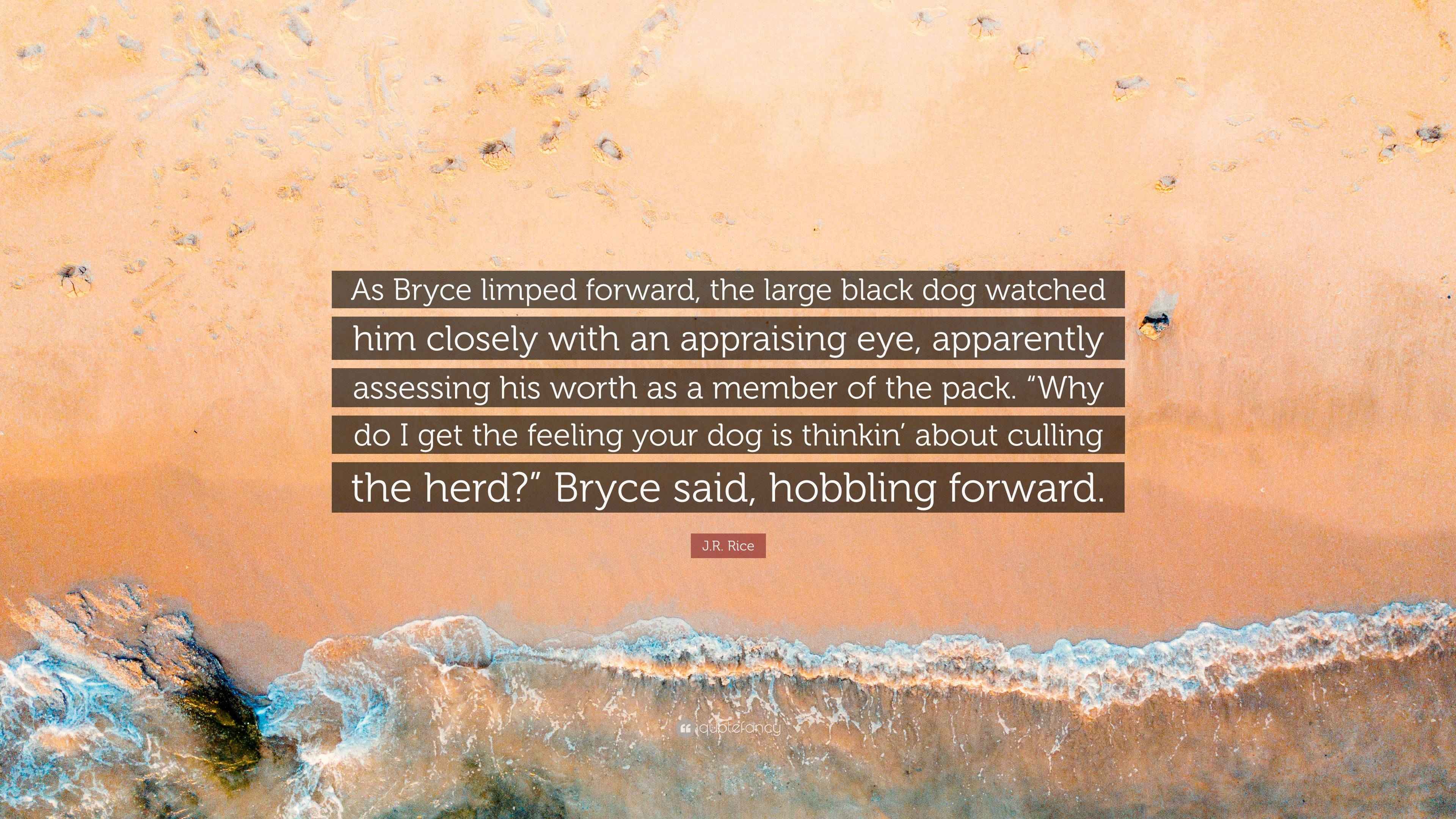 J.R. Rice Quote: “As Bryce limped forward, the large black dog watched ...