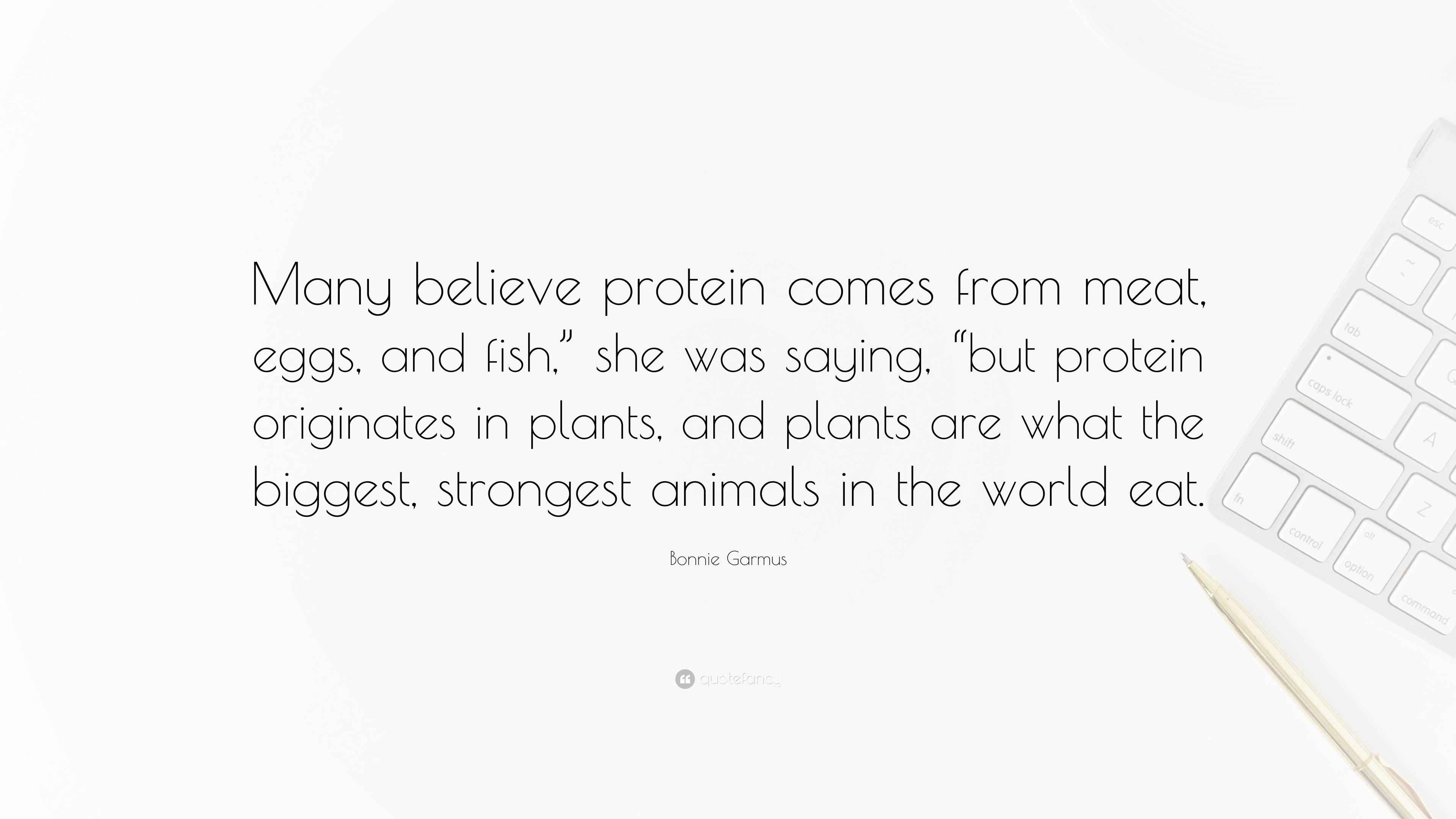 Bonnie Garmus Quote: “Many believe protein comes from meat, eggs, and ...