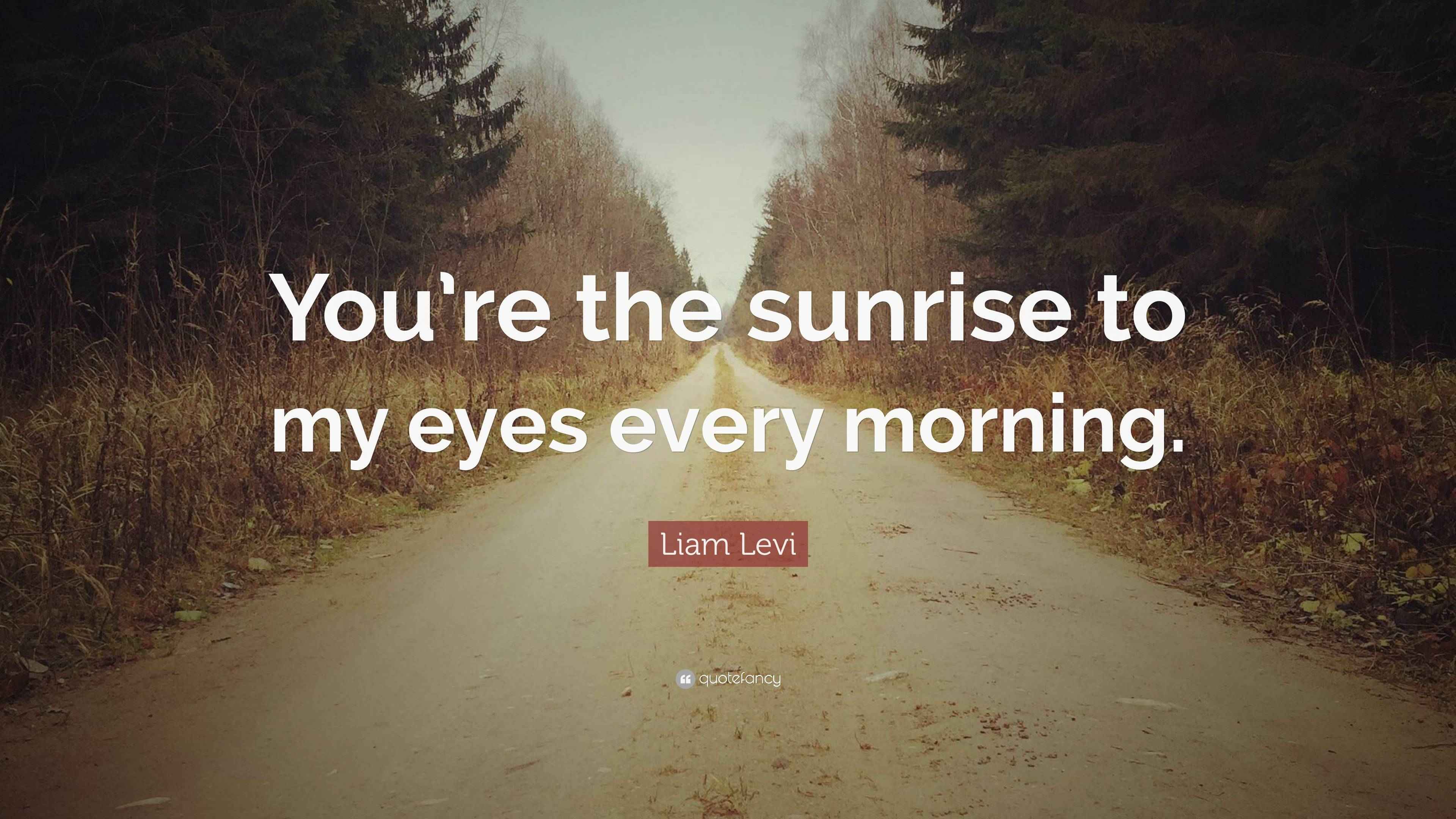 Liam Levi Quote: “You’re the sunrise to my eyes every morning.”