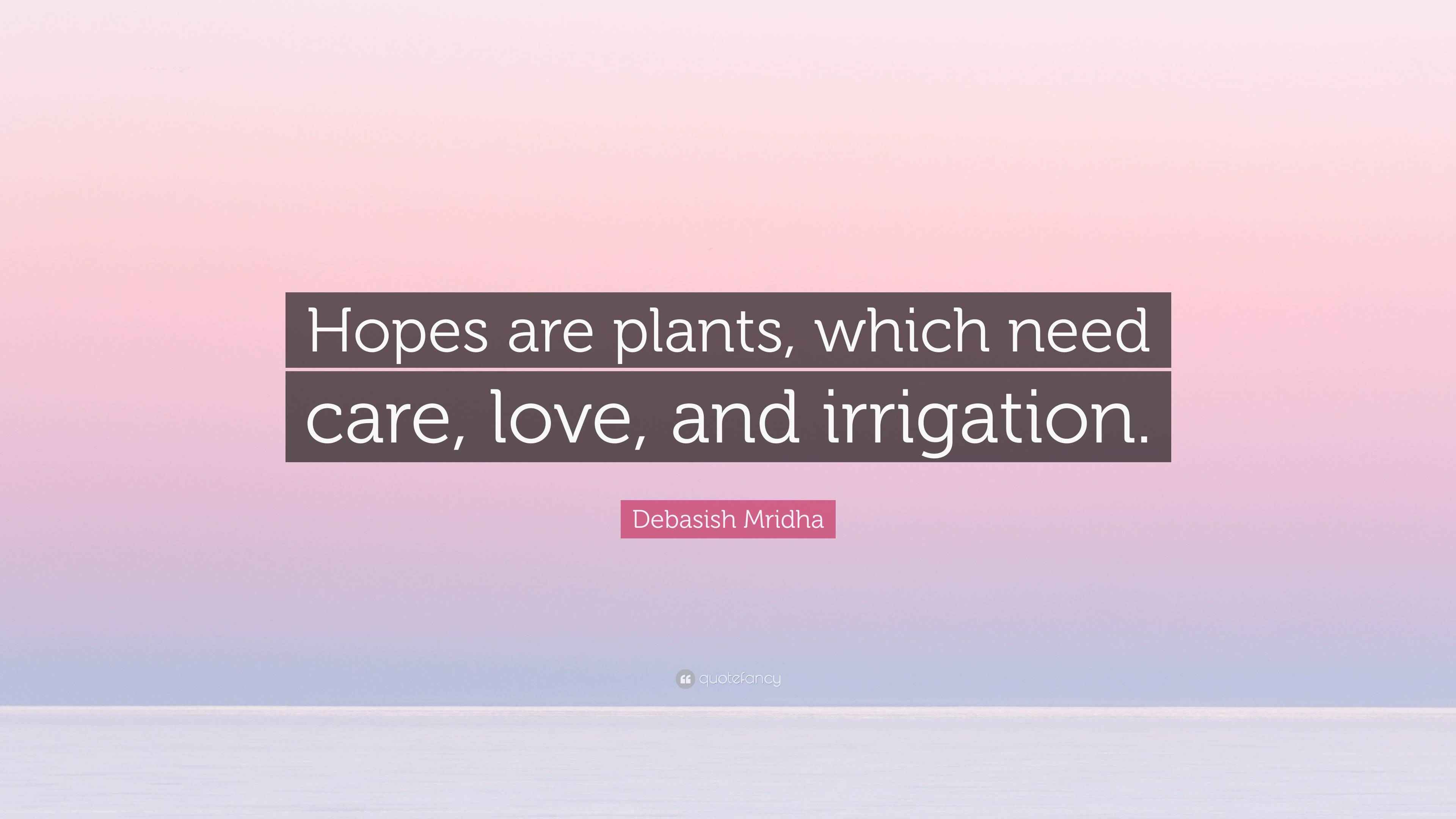 Debasish Mridha Quote: “Hopes are plants, which need care, love, and ...
