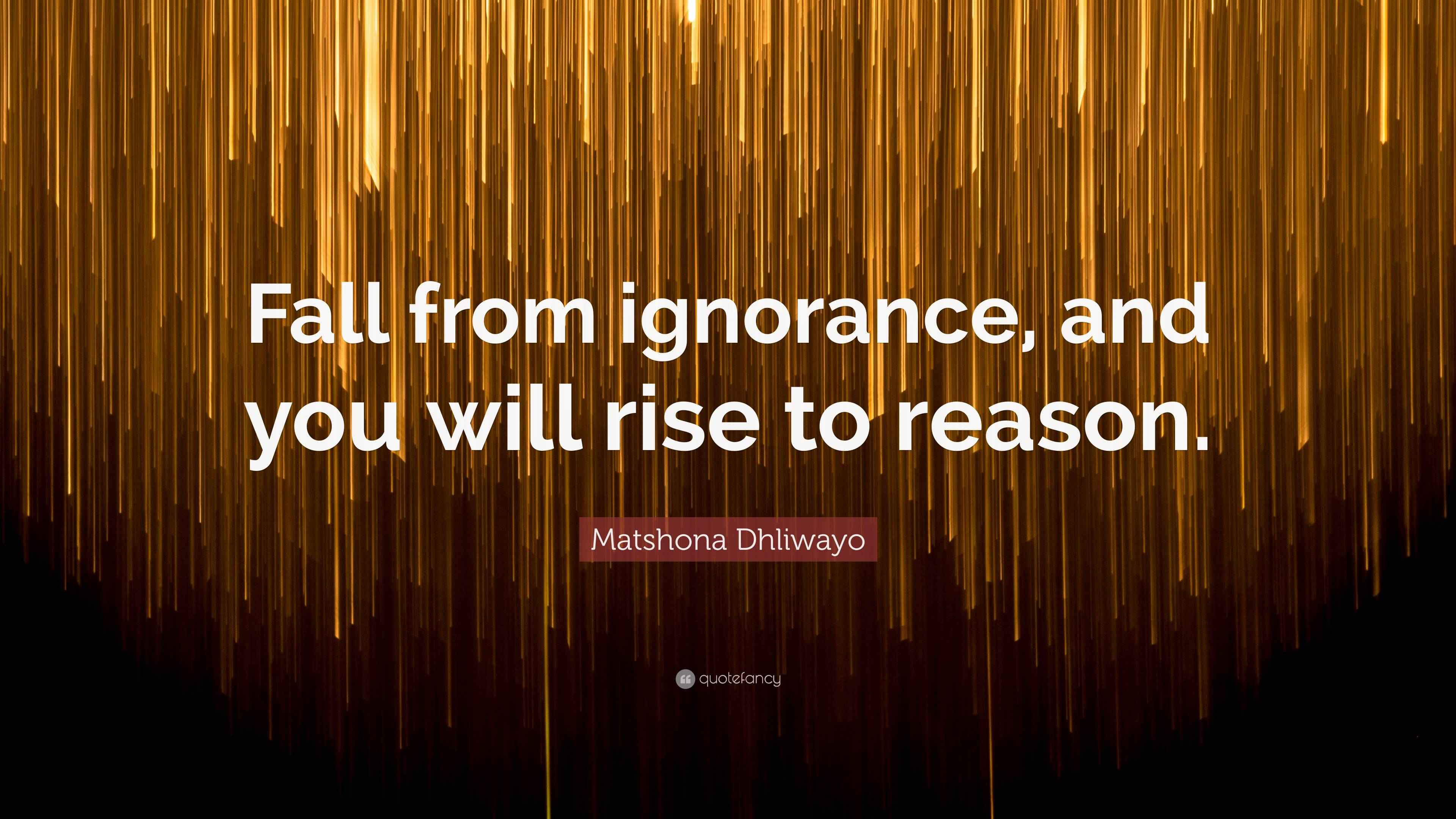 Matshona Dhliwayo Quote: “Fall from ignorance, and you will rise to ...