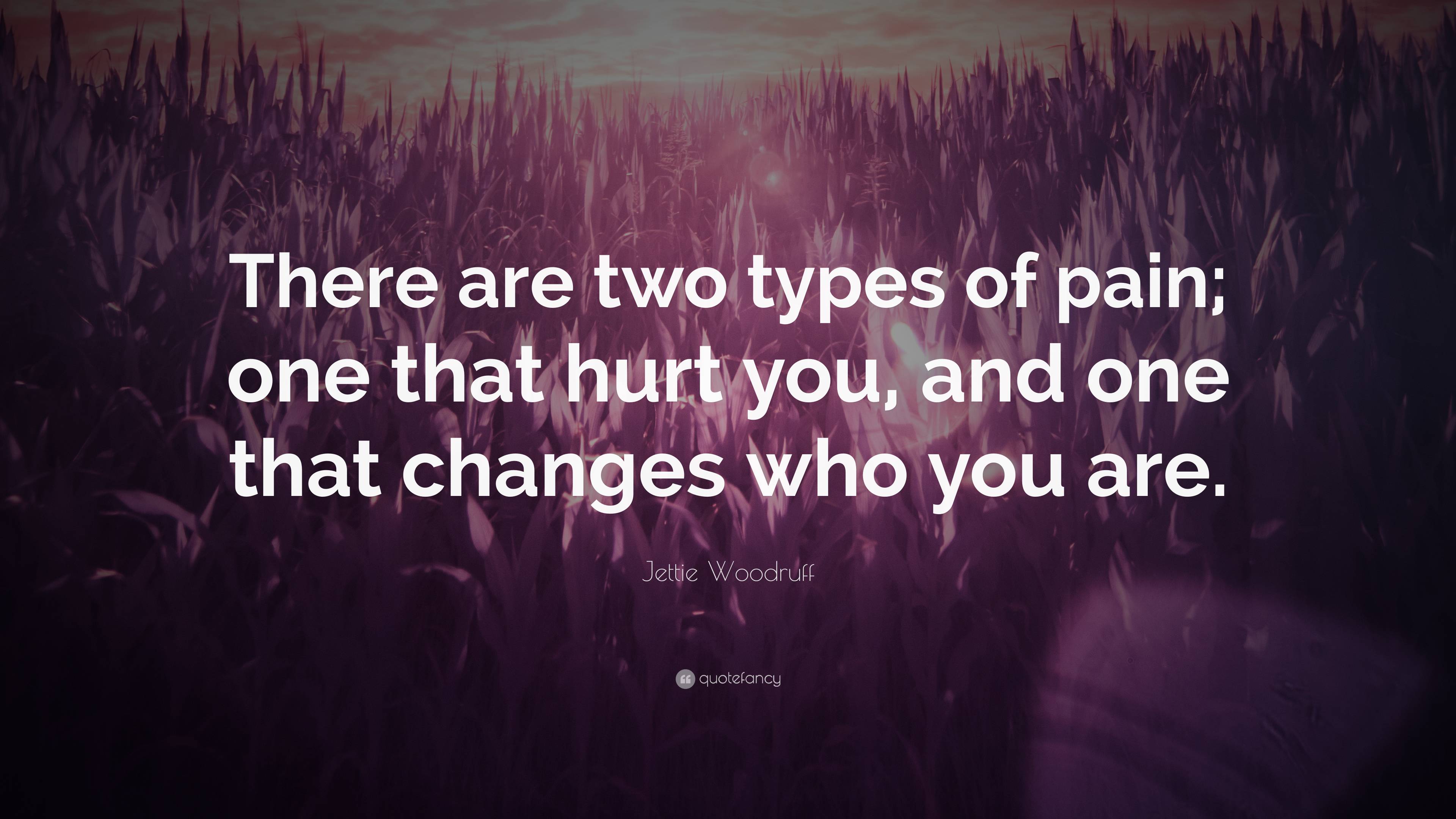 Jettie Woodruff Quote: “There are two types of pain; one that hurt you ...