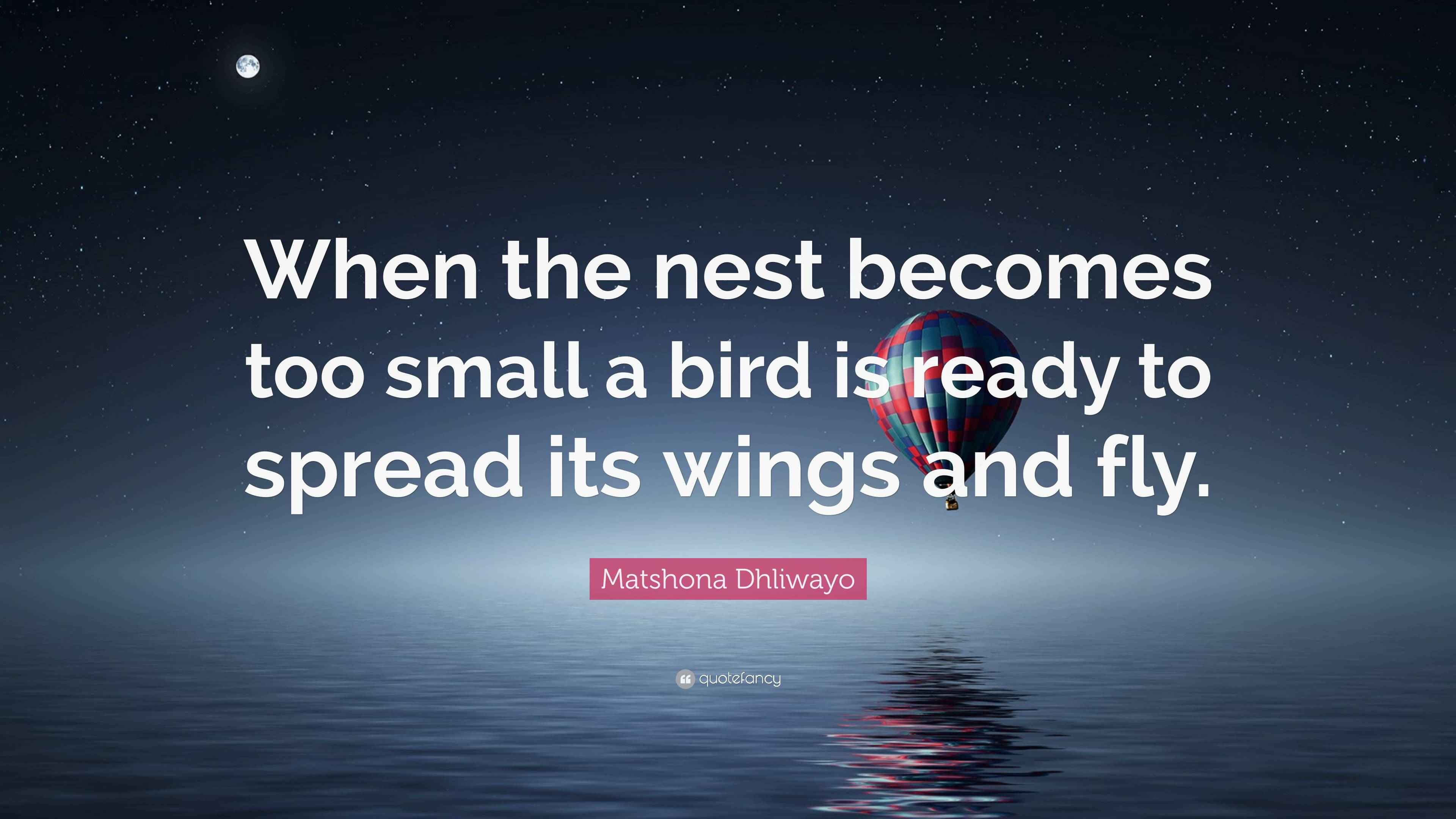 Matshona Dhliwayo Quote: “When the nest becomes too small a bird is ...