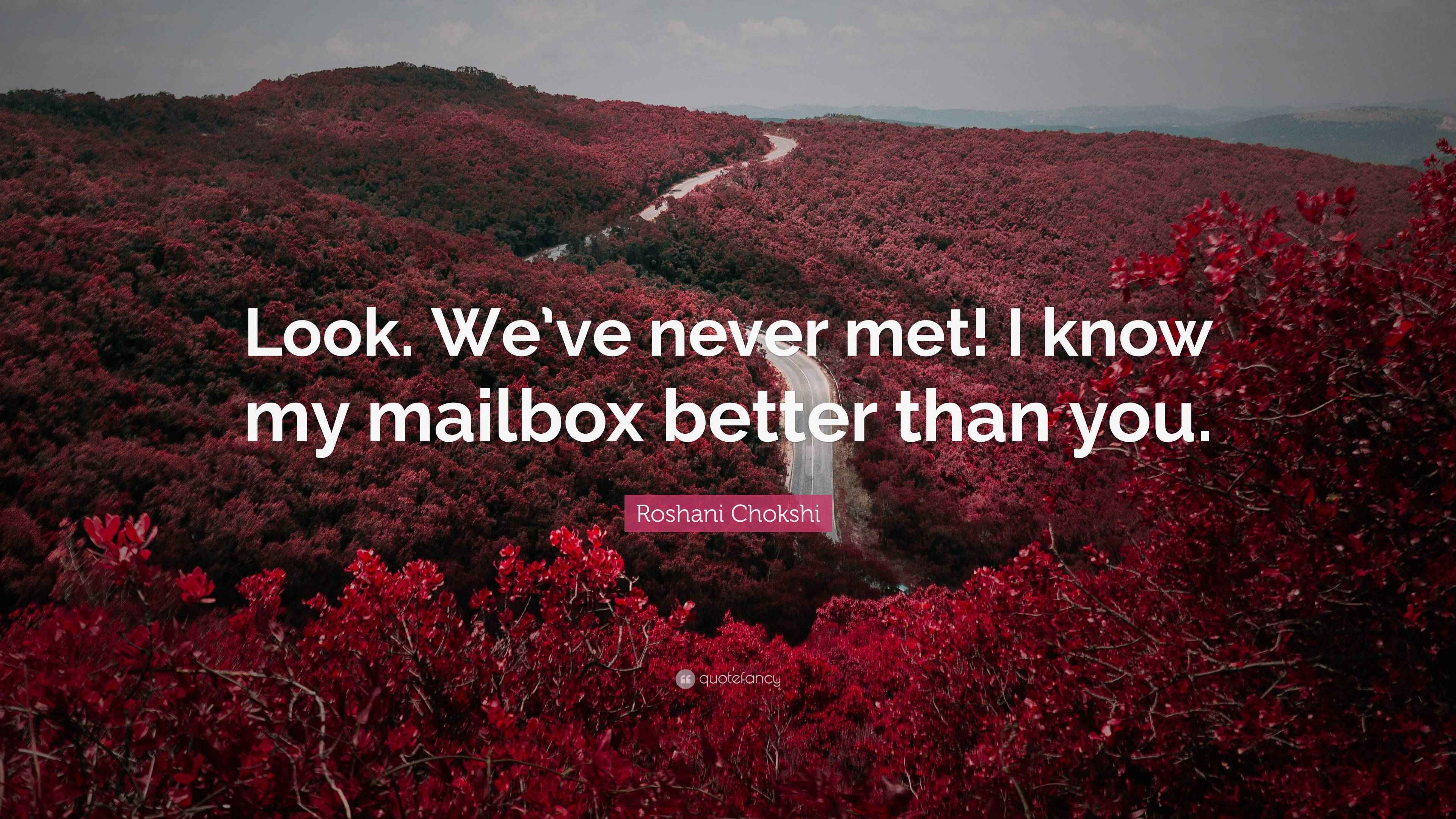 Roshani Chokshi Quote: “Look. We’ve never met! I know my mailbox better ...