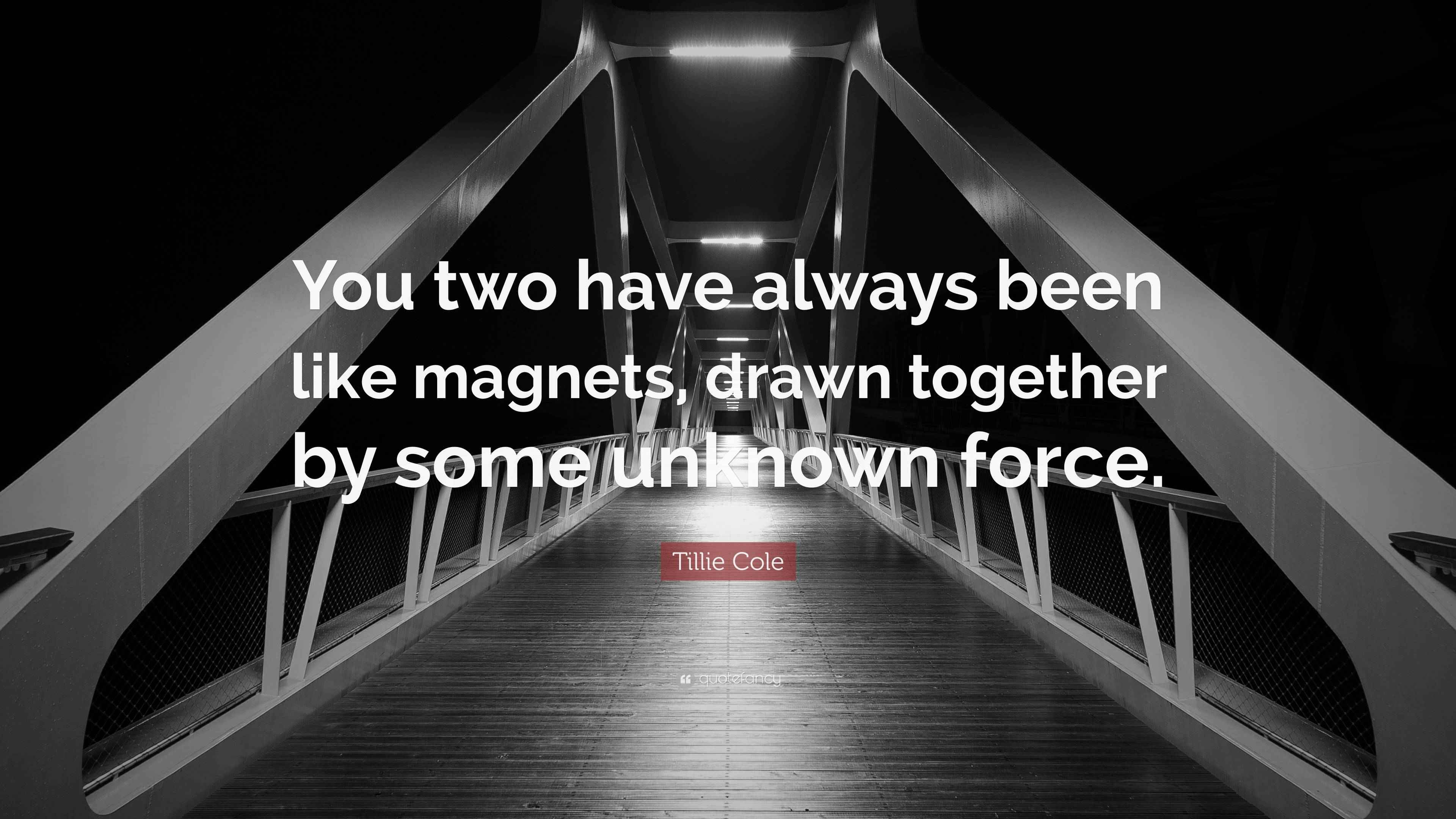Tillie Cole Quote: “You two have always been like magnets, drawn ...