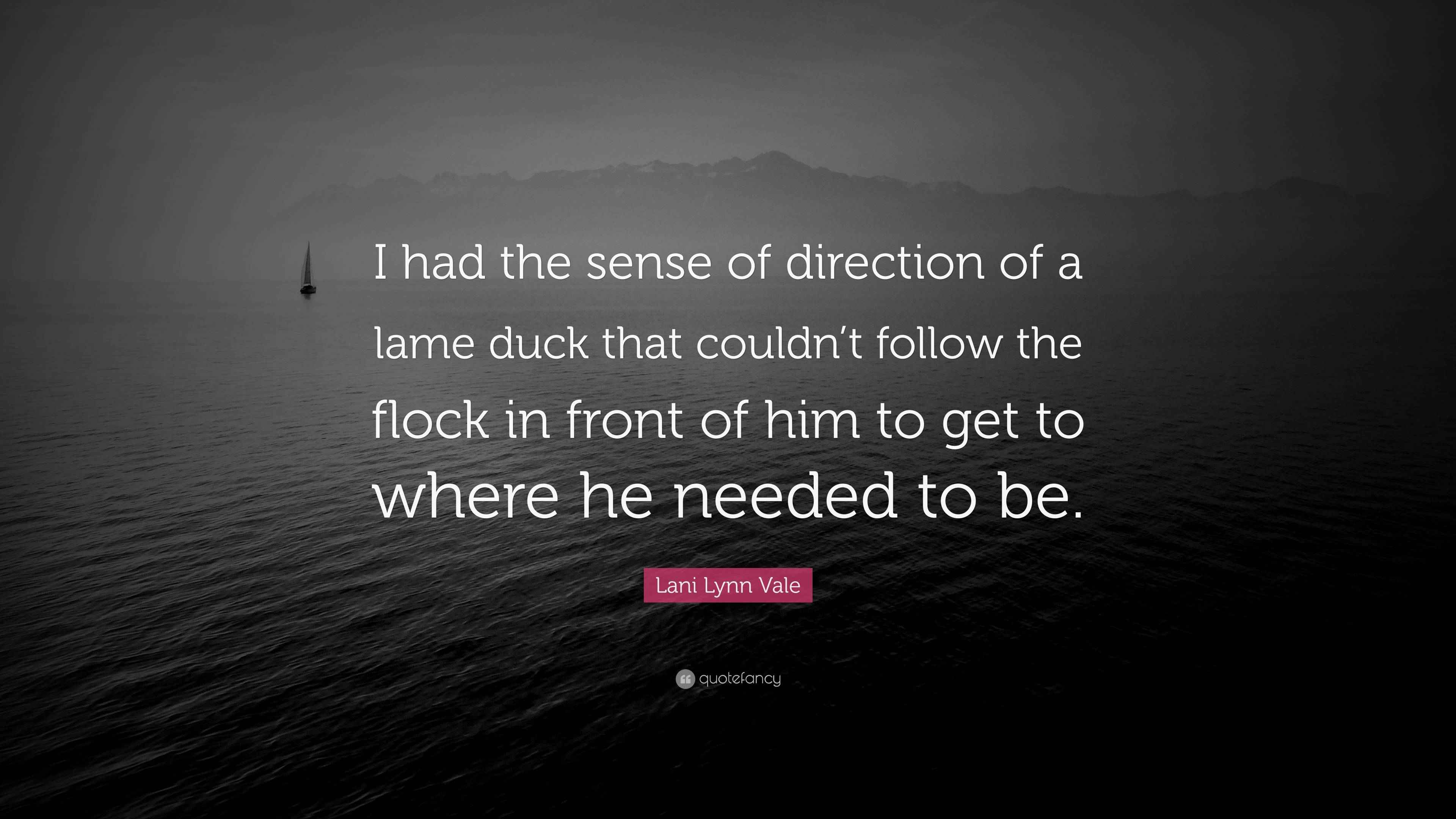 Lani Lynn Vale Quote: “I had the sense of direction of a lame duck that ...
