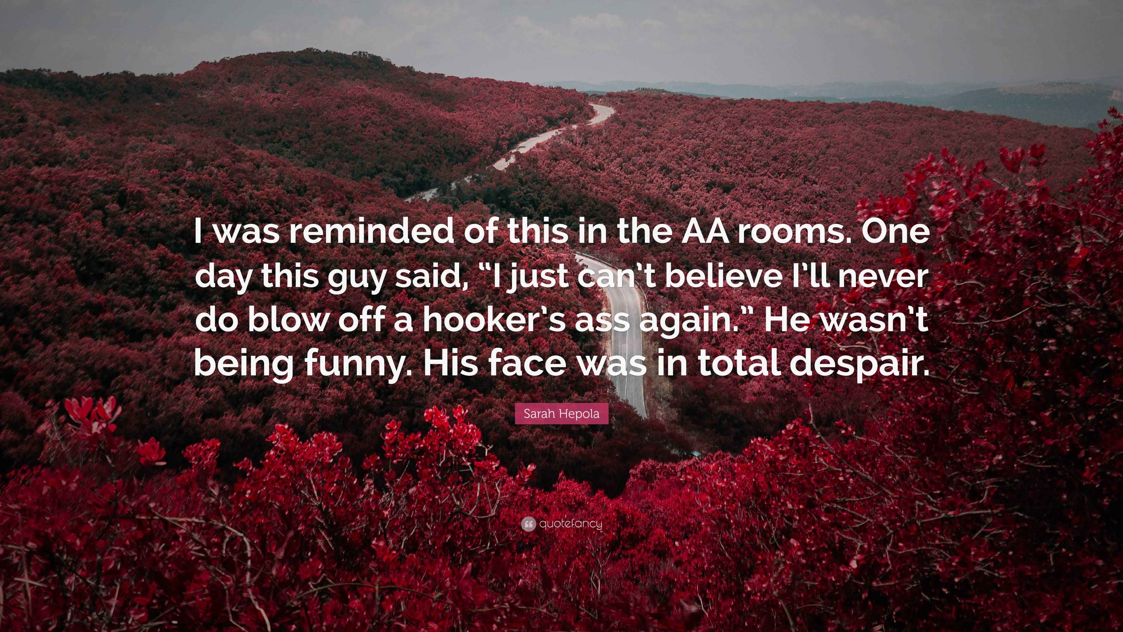 Sarah Hepola Quote: “I was reminded of this in the AA rooms. One day ...