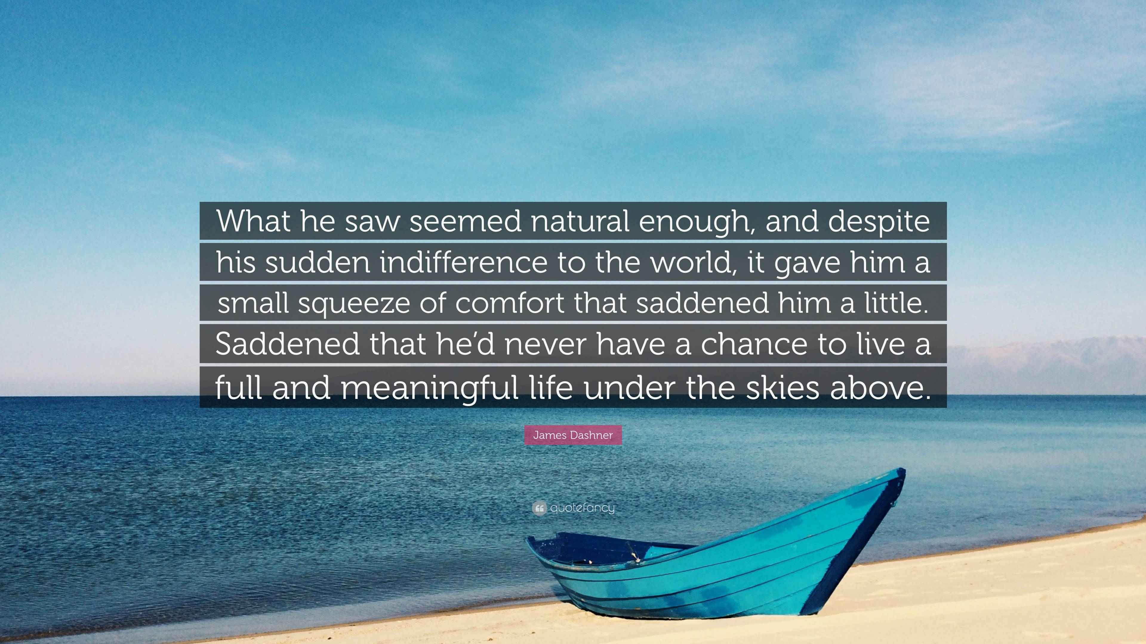 James Dashner Quote: “What he saw seemed natural enough, and despite ...