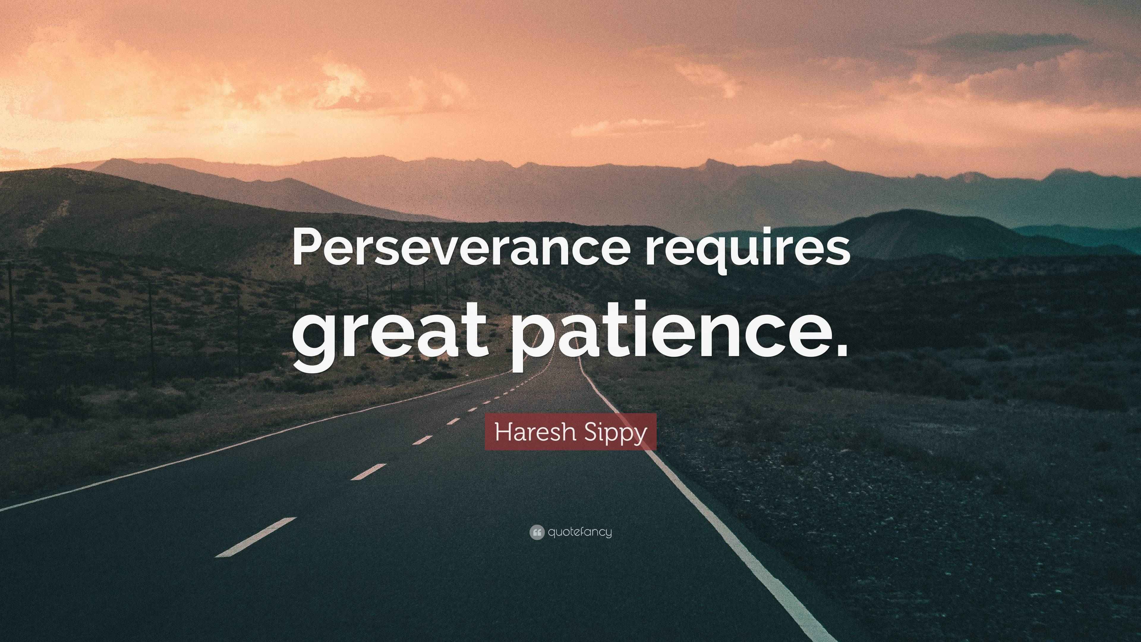 Haresh Sippy Quote: “Perseverance requires great patience.”