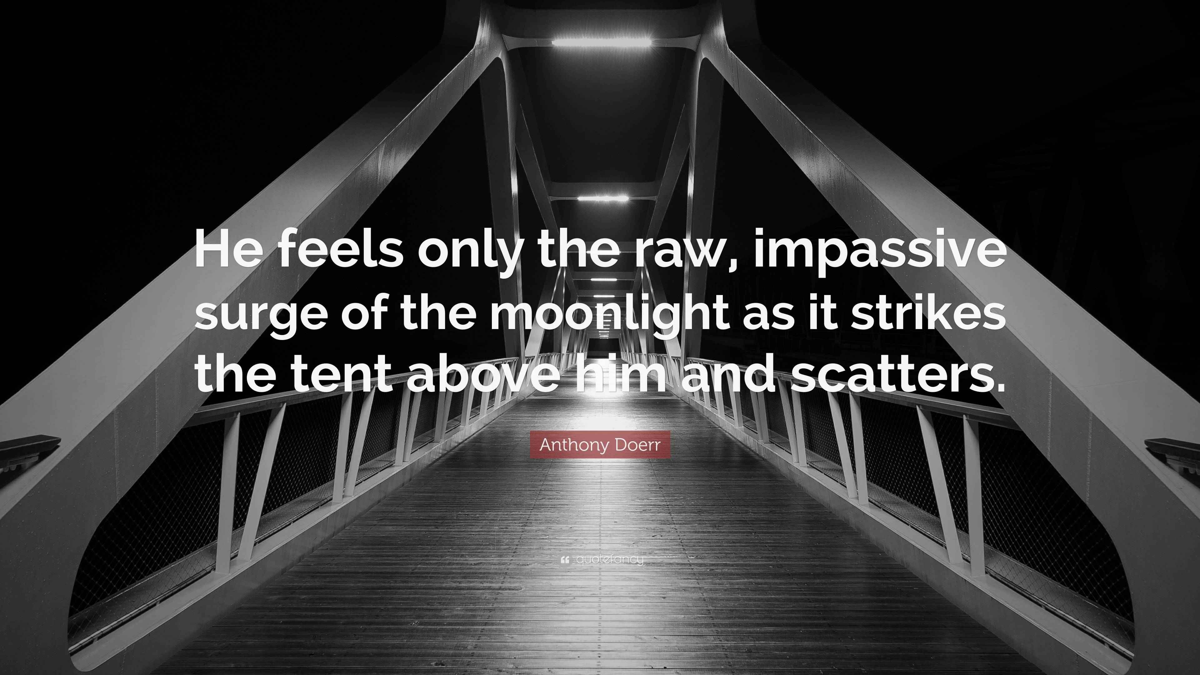 Anthony Doerr Quote: “He feels only the raw, impassive surge of the ...