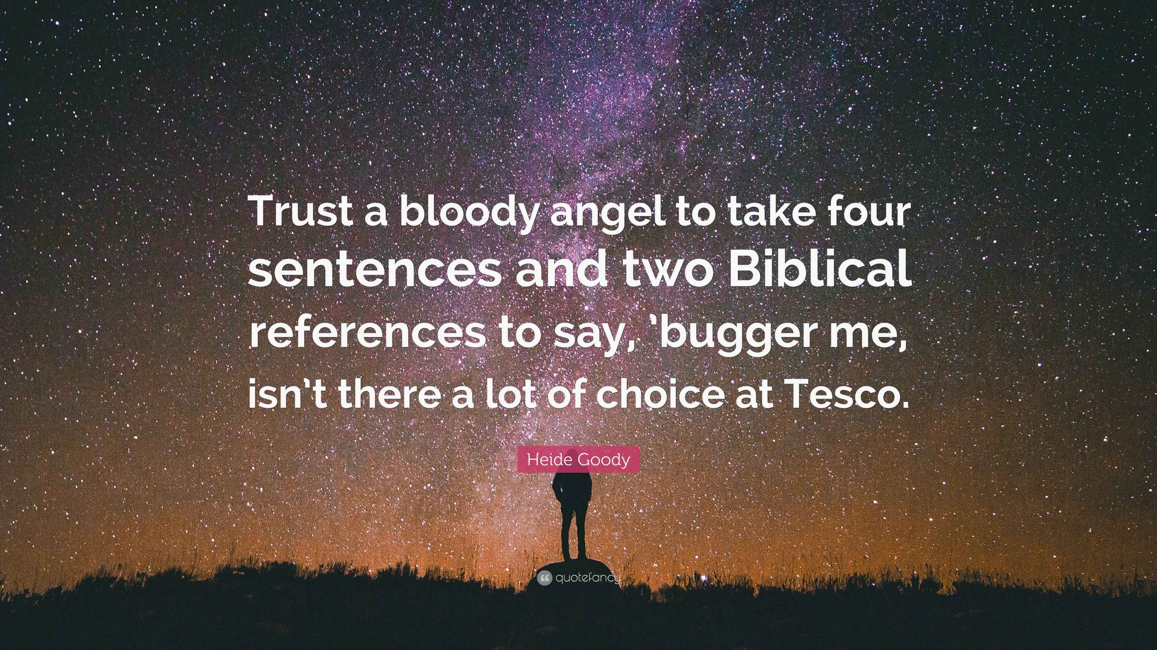 Heide Goody Quote: “Trust a bloody angel to take four sentences and two ...