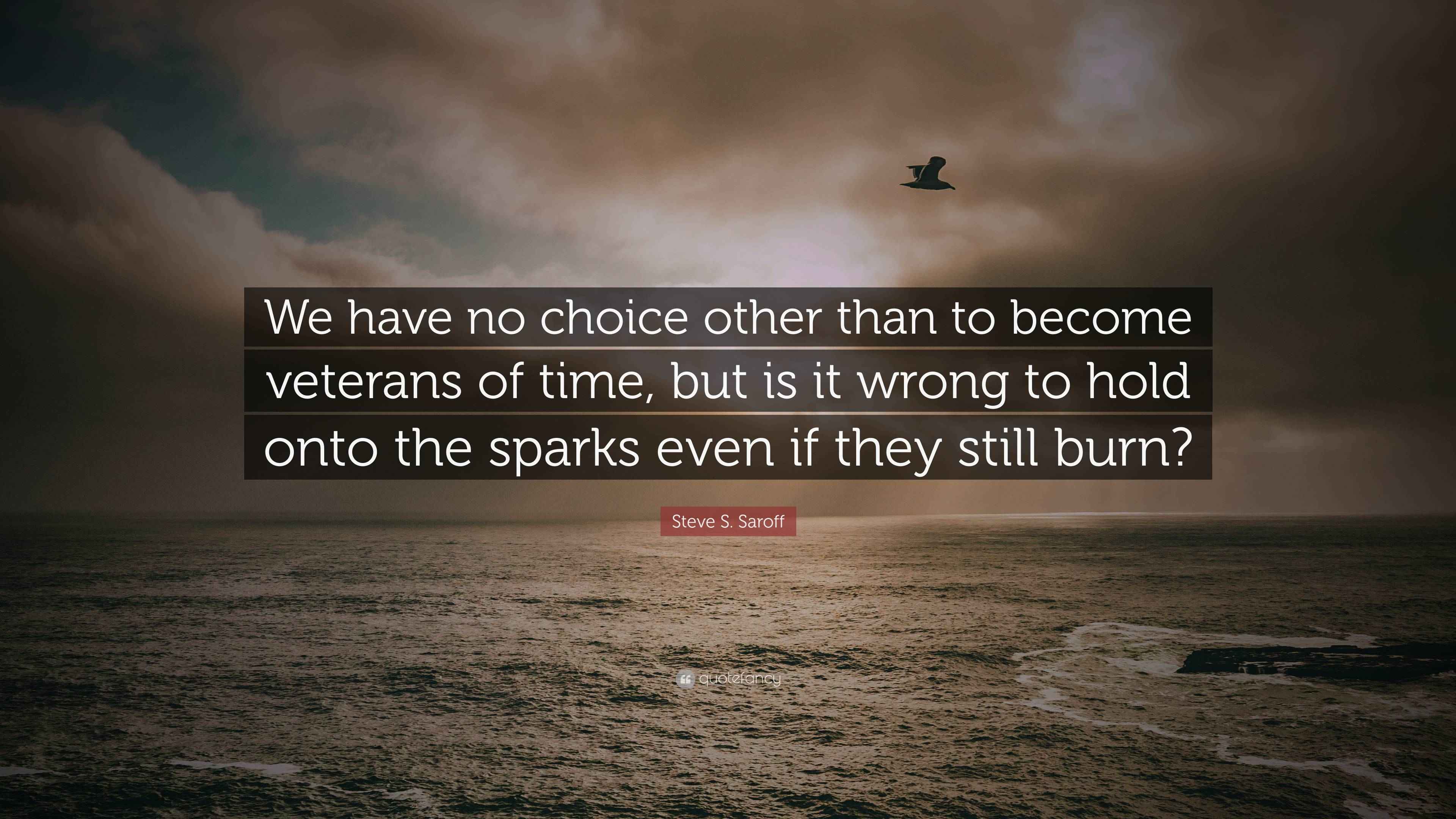 Steve S. Saroff Quote: “We have no choice other than to become veterans ...