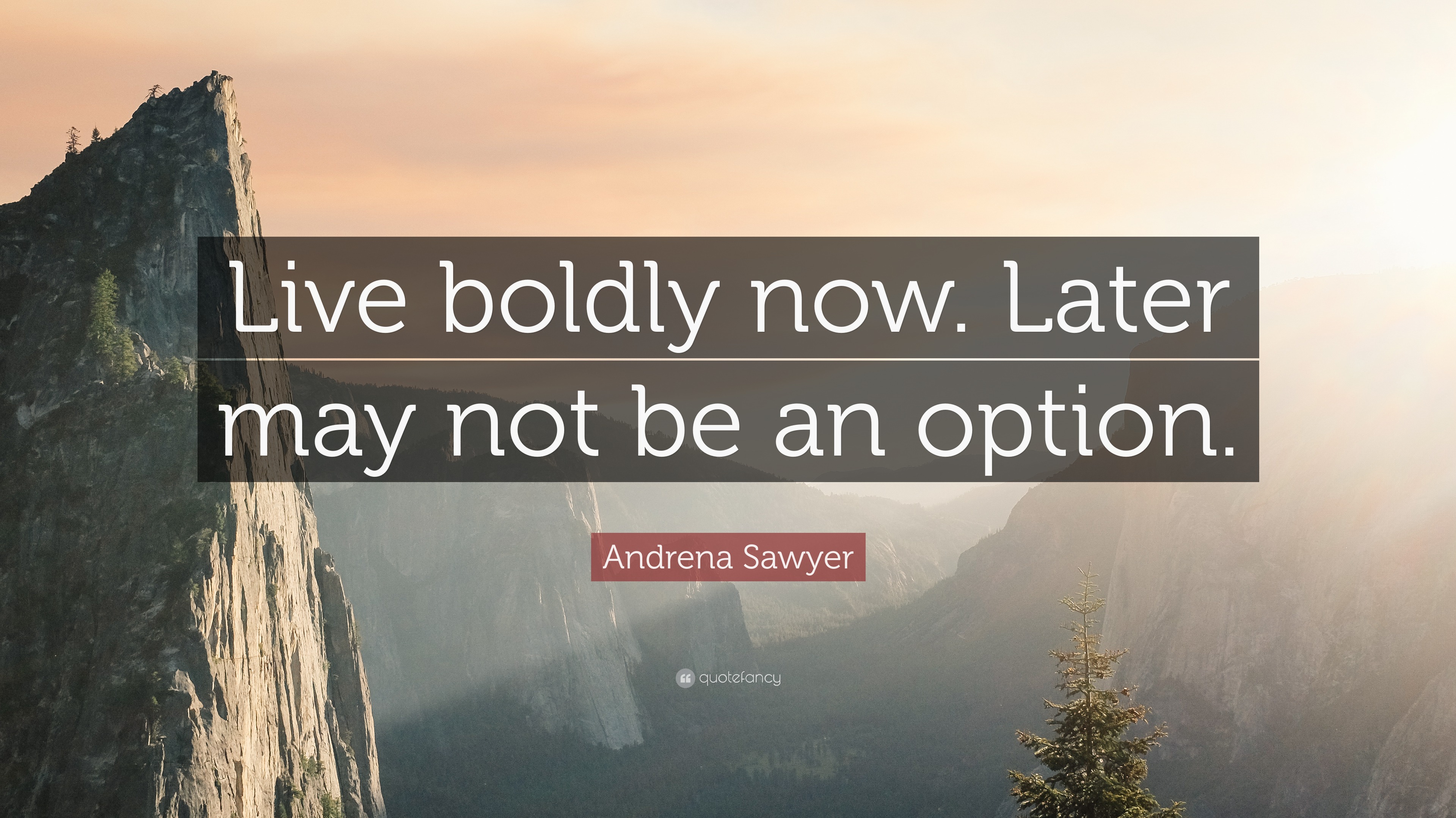 Andrena Sawyer Quote: “Live boldly now. Later may not be an option.”
