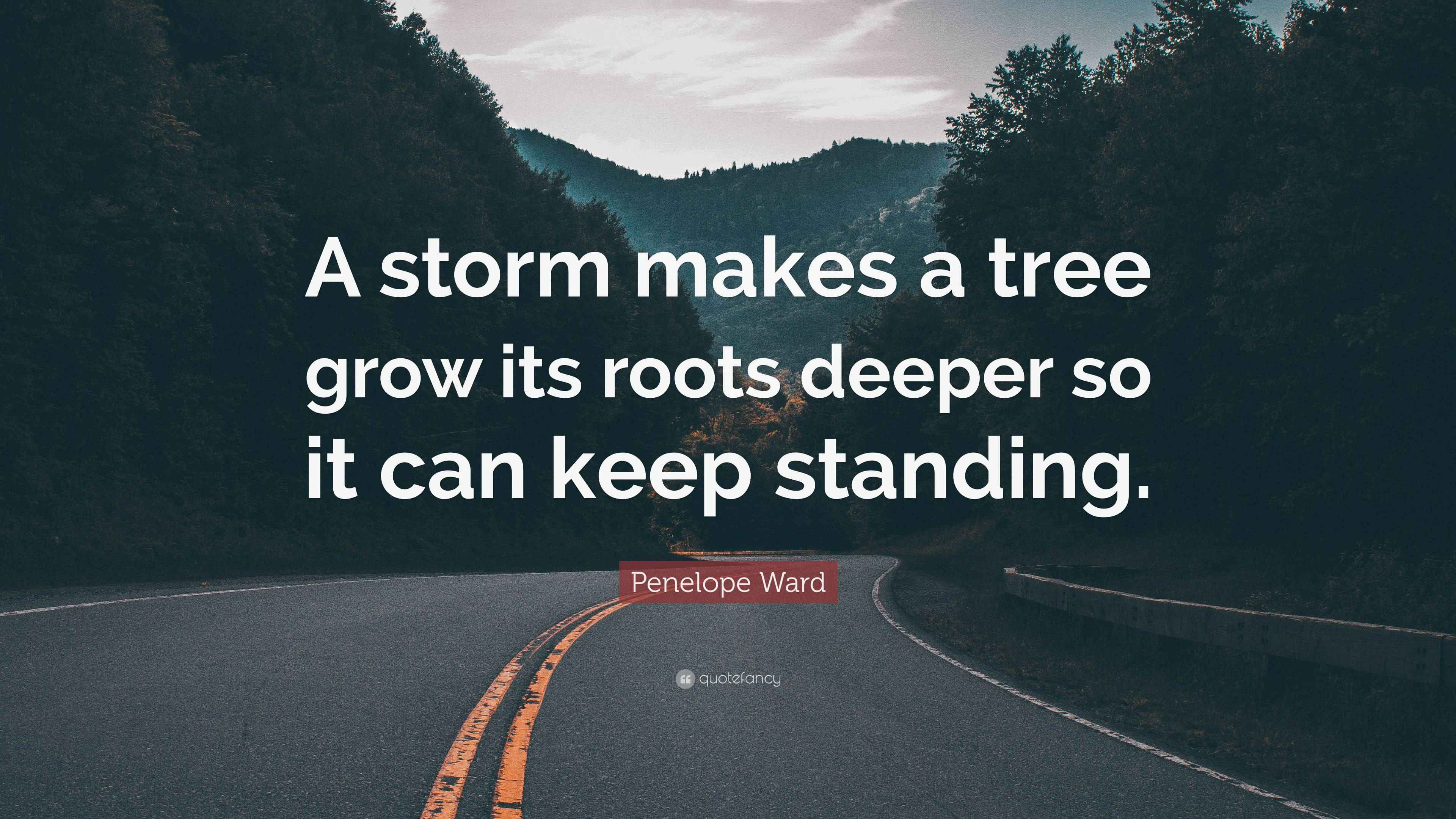 Penelope Ward Quote: “A storm makes a tree grow its roots deeper so it ...