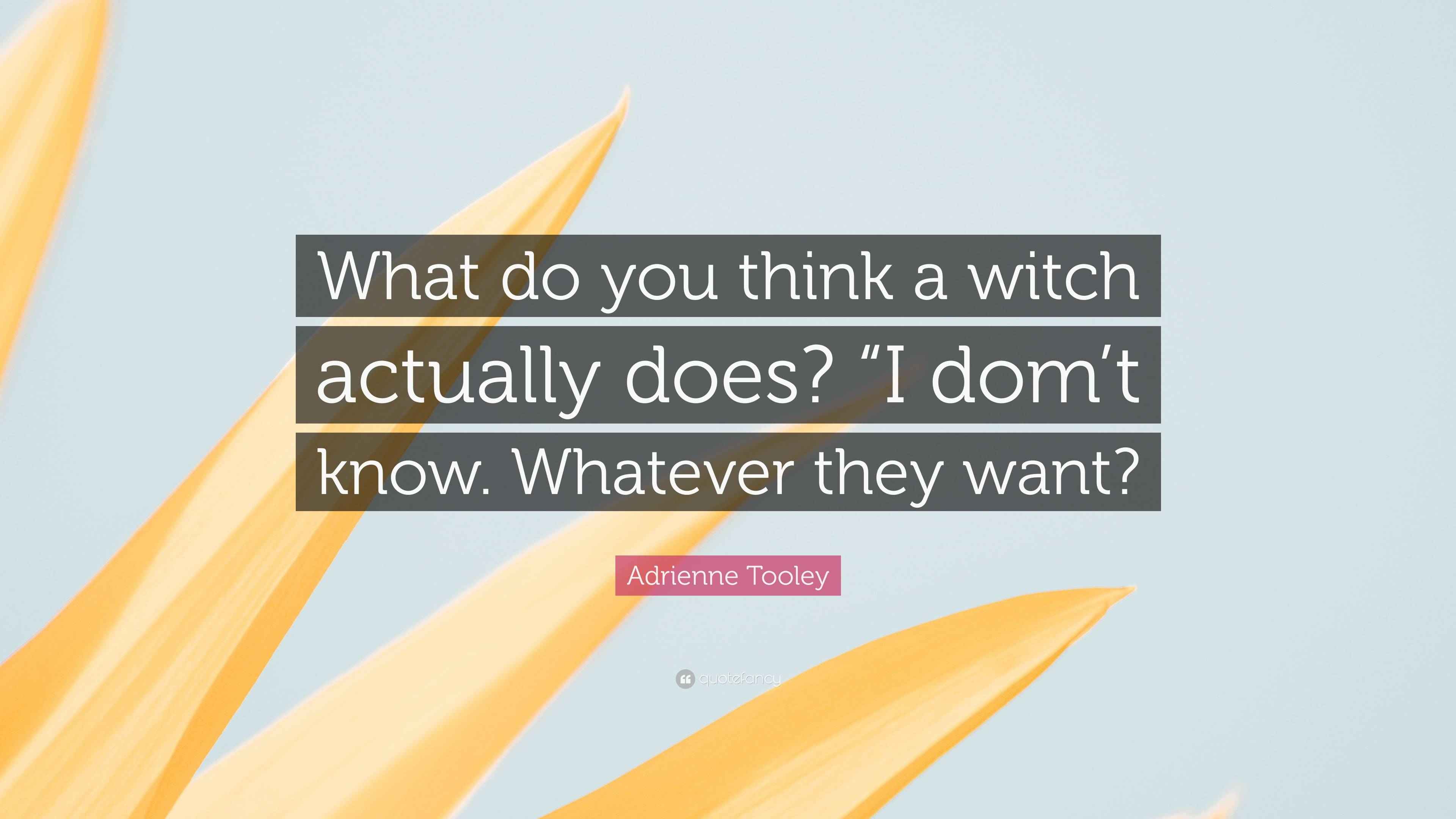 Adrienne Tooley Quote: “What do you think a witch actually does? “I dom ...