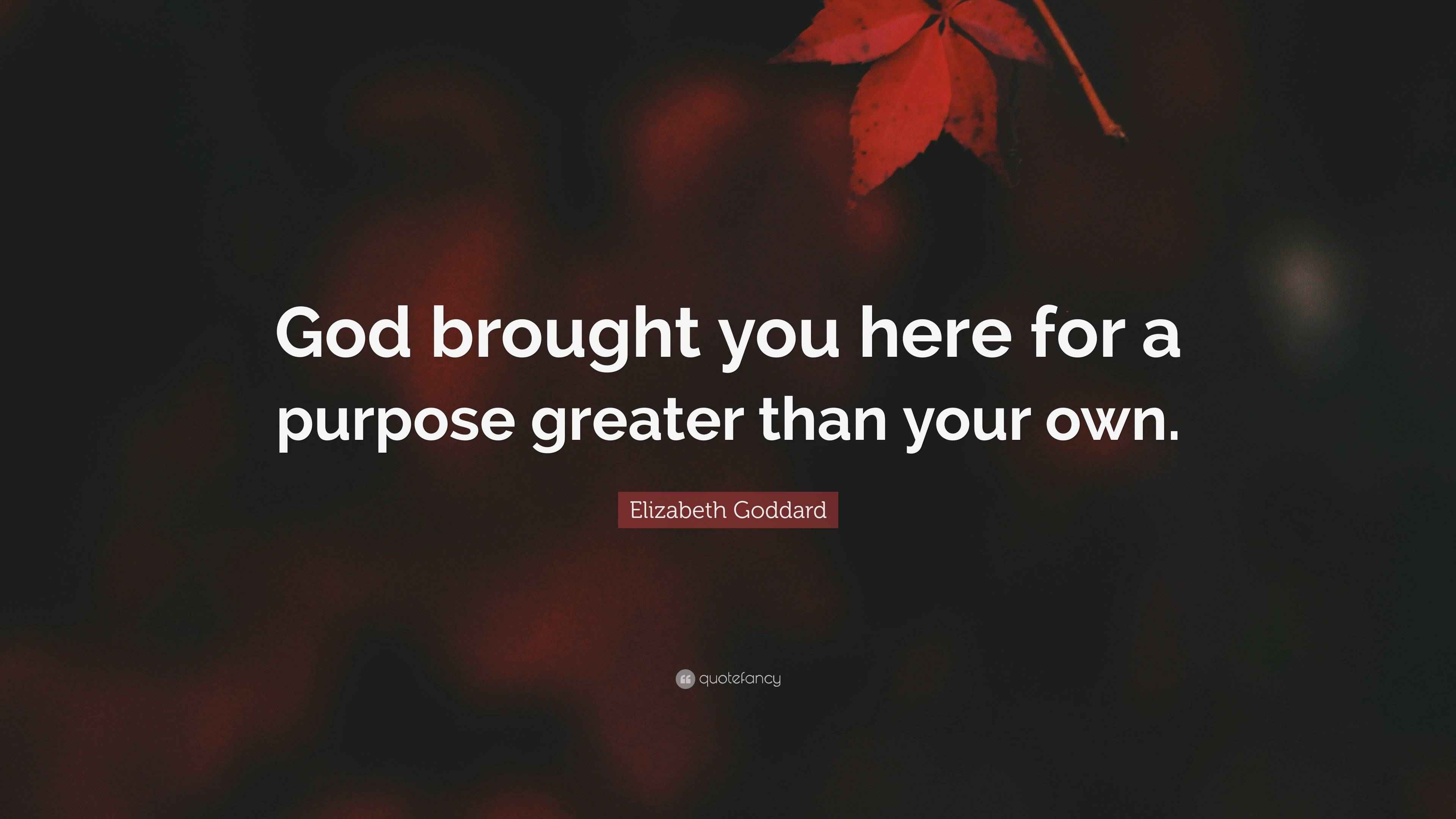 Elizabeth Goddard Quote: “God brought you here for a purpose greater ...