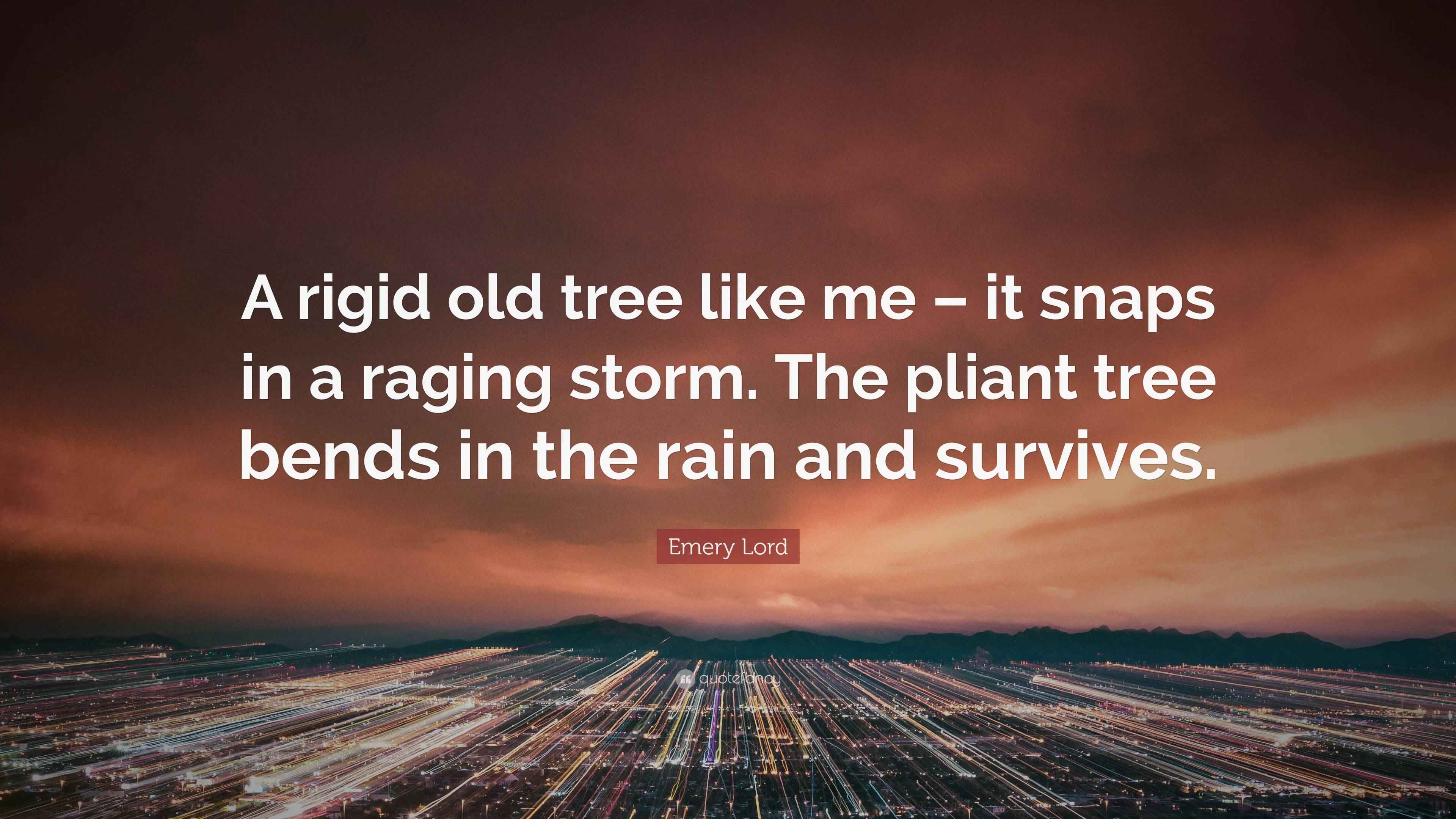 Emery Lord Quote: “A rigid old tree like me – it snaps in a raging ...