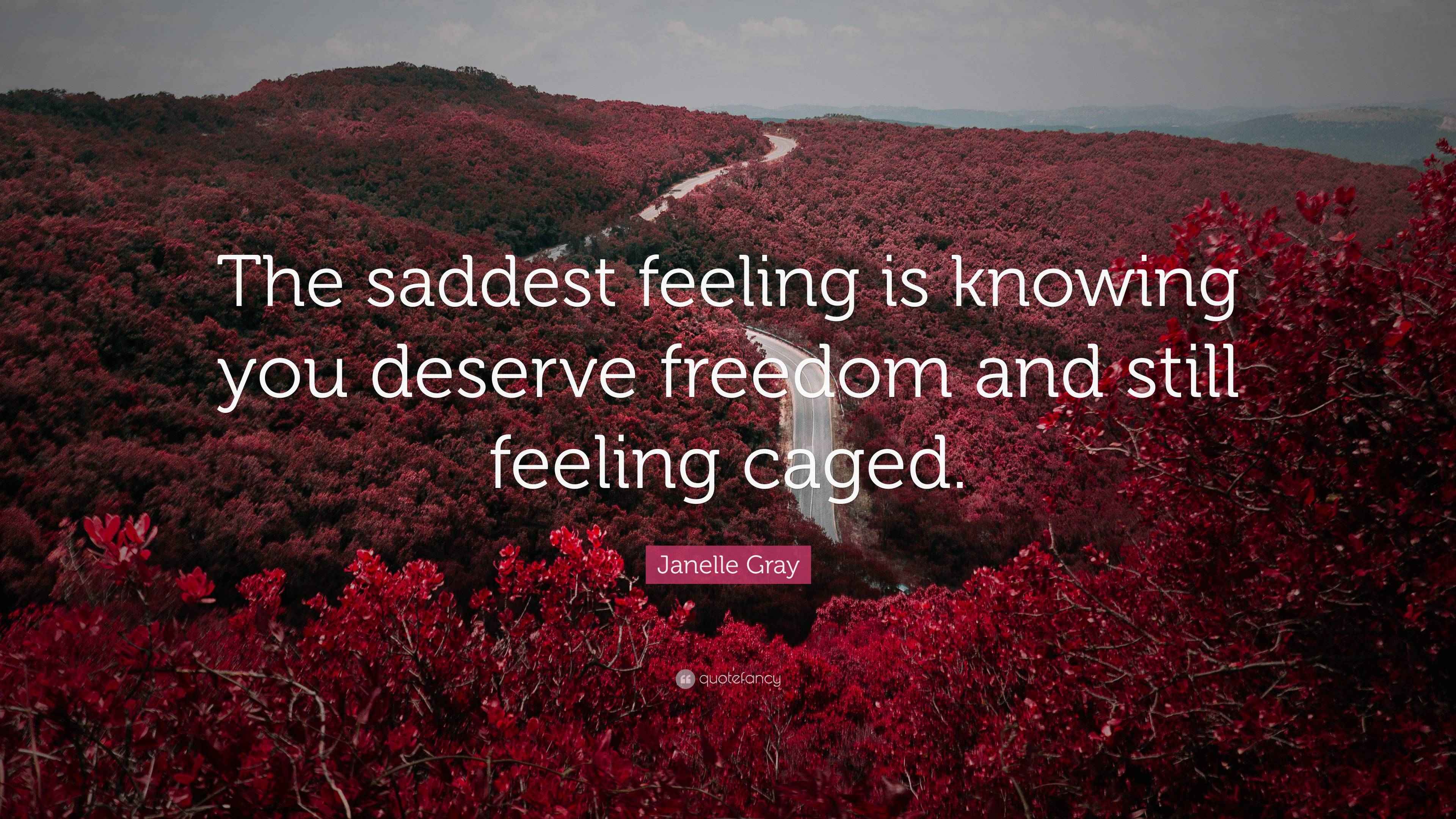 Janelle Gray Quote: “The saddest feeling is knowing you deserve freedom ...