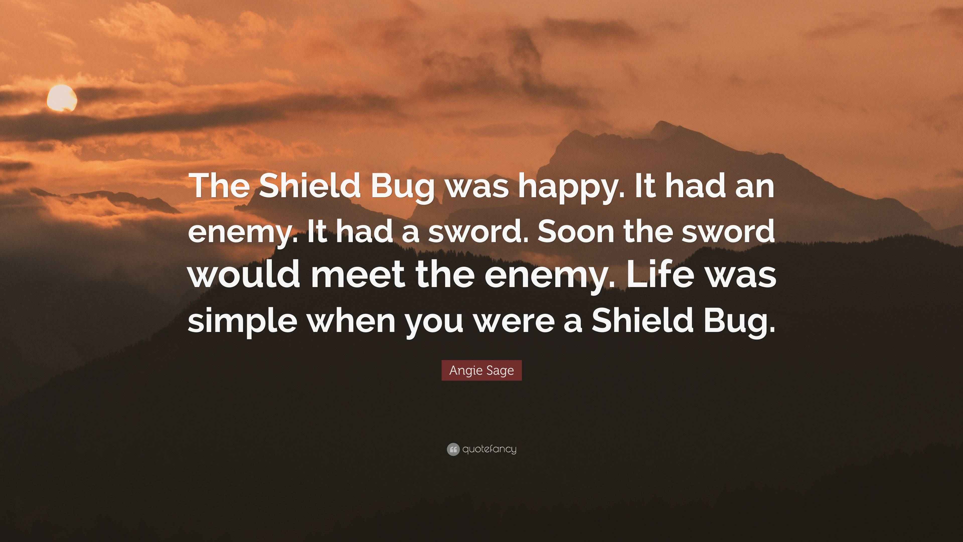 Angie Sage Quote: “The Shield Bug was happy. It had an enemy. It had a ...