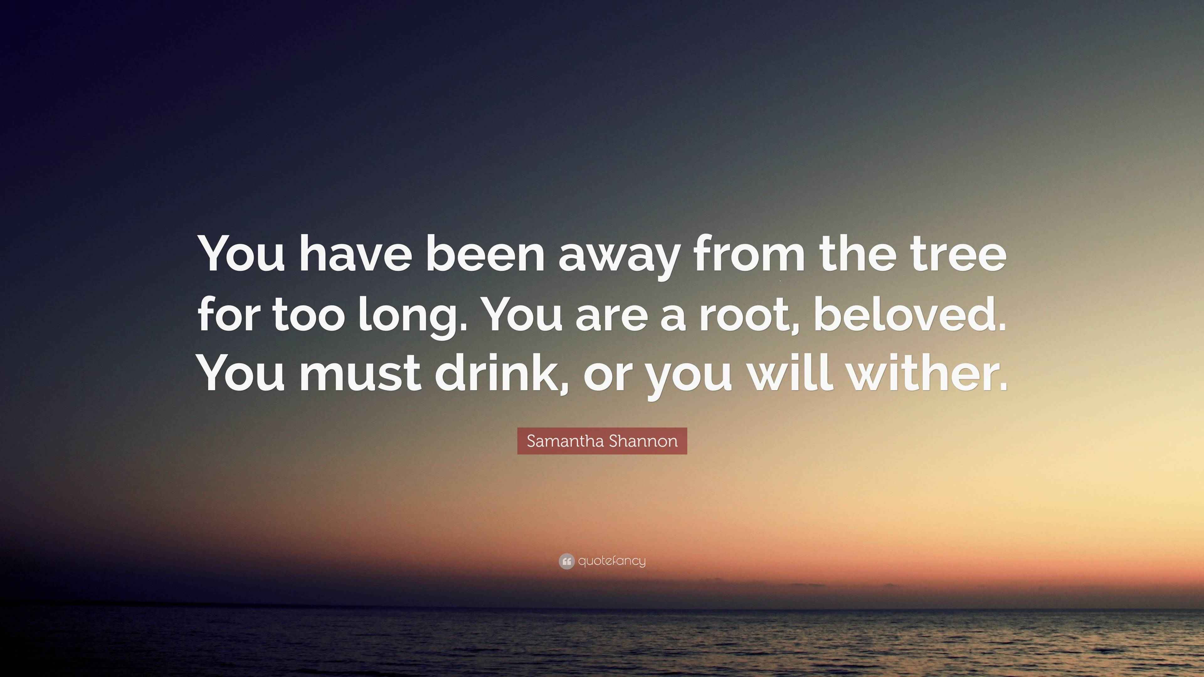 Samantha Shannon Quote: “You have been away from the tree for too long ...